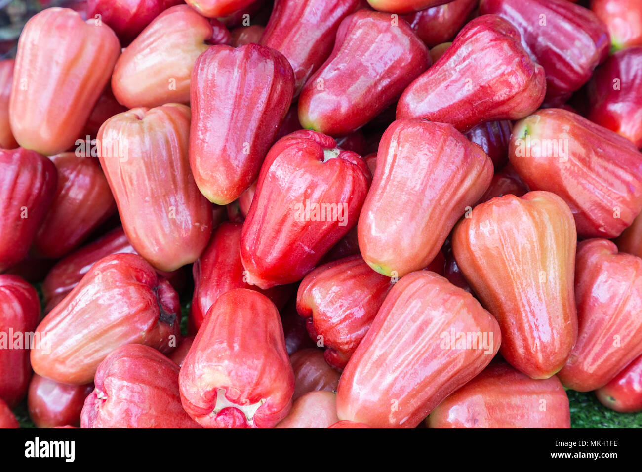 Rose apple tropical fruit selling in market for health food and ...