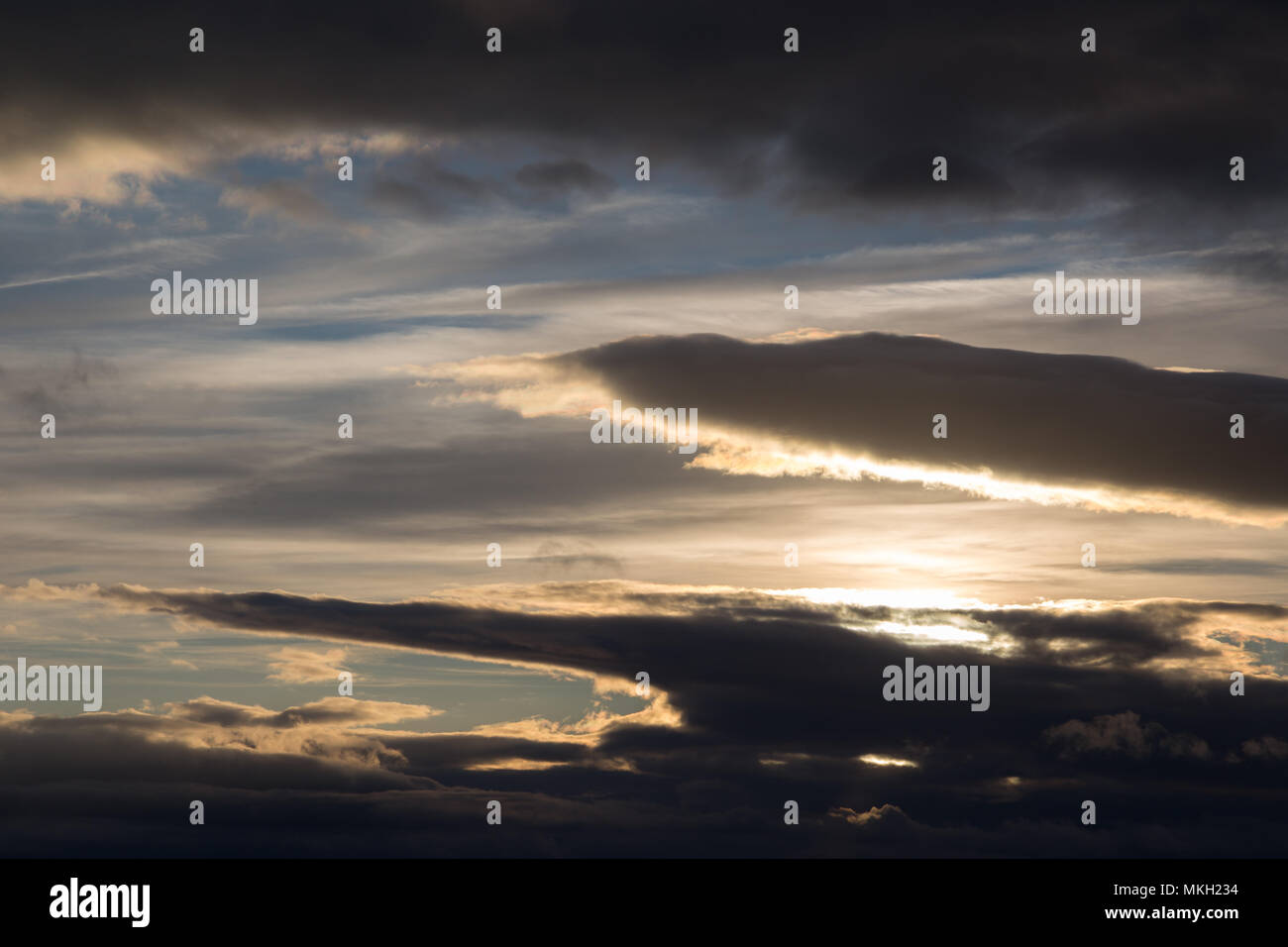 Contrast beauty sunset backlit silhouette hi-res stock photography and ...