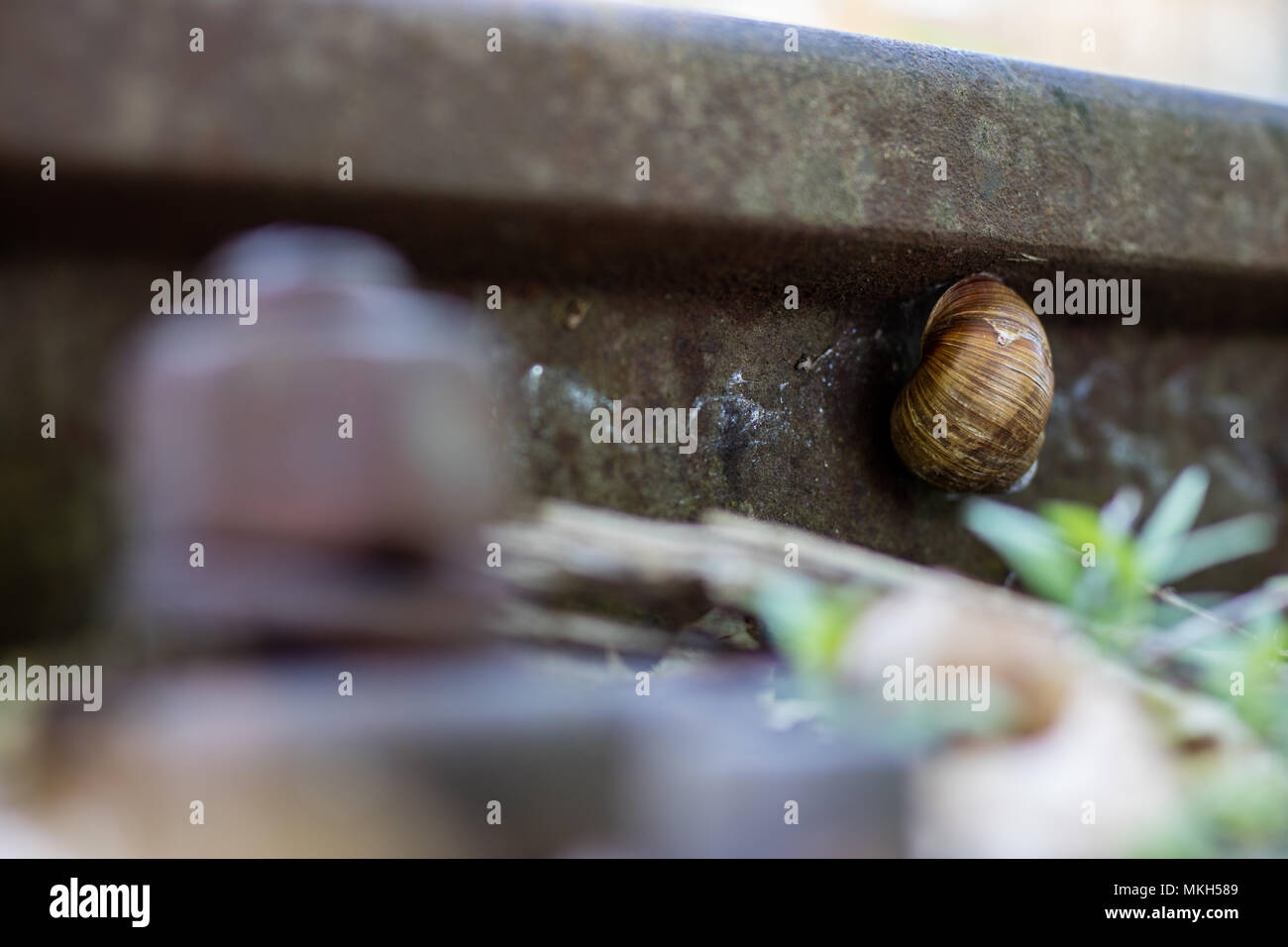 Shell road train hi-res stock photography and images - Alamy