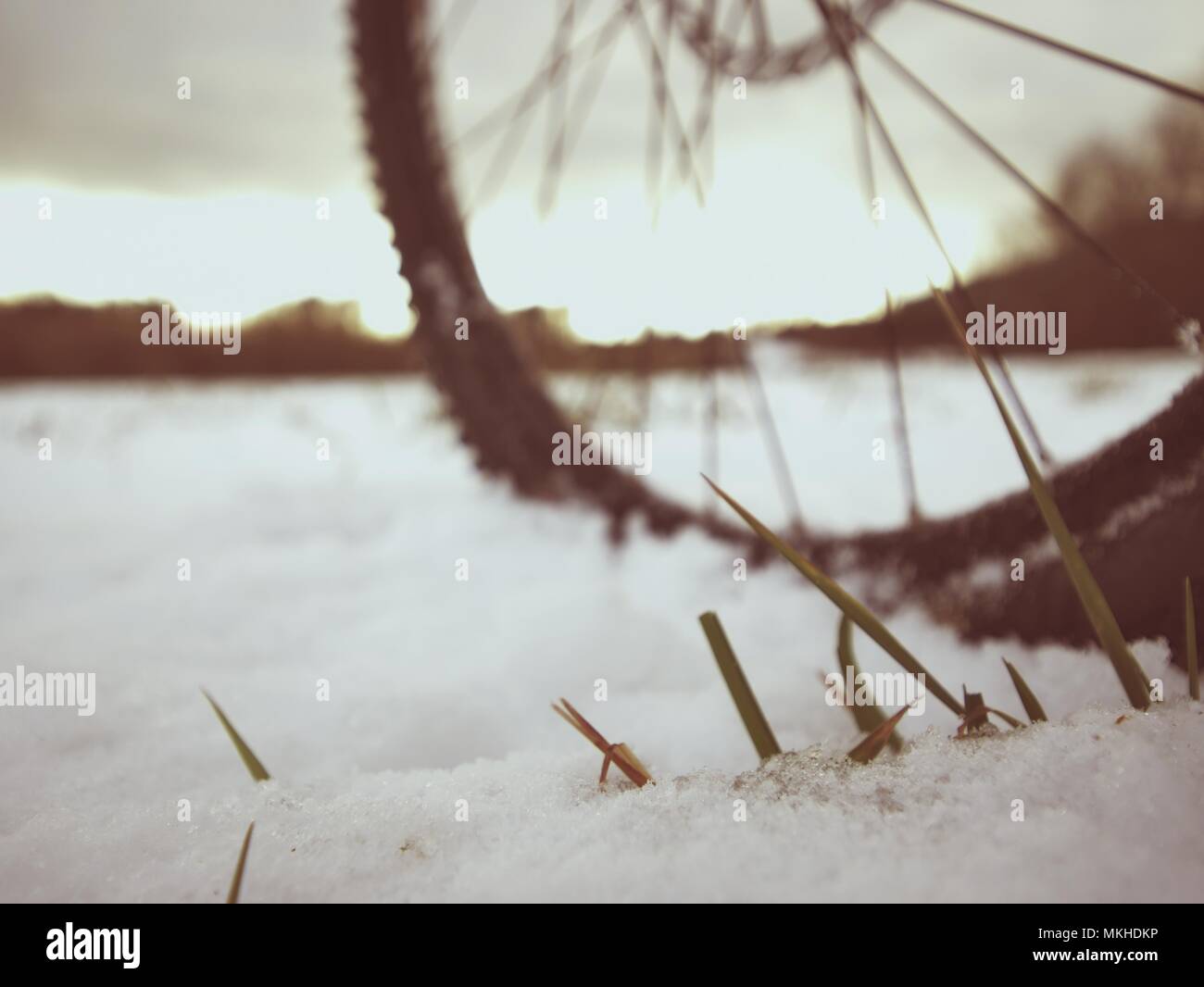 Front wheel of mountain bike while snow riding. in snowy field. Cloudy ...