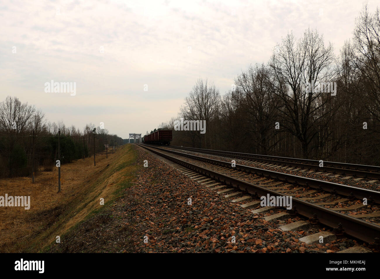 A railway along which trees grow with small clouds. Background Stock ...