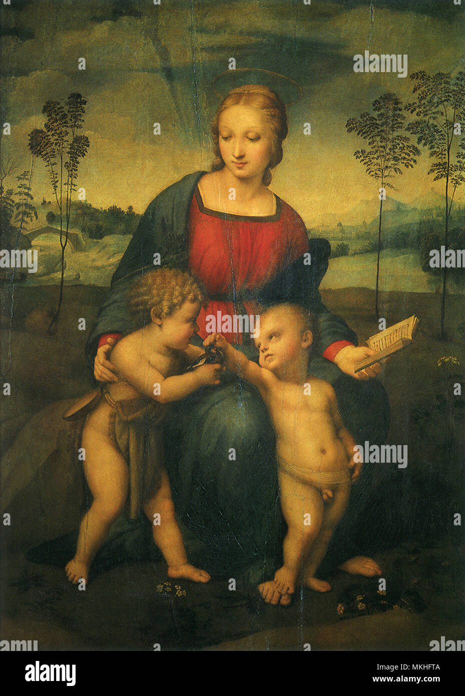 Madonna of the goldfinch hi-res stock photography and images - Alamy