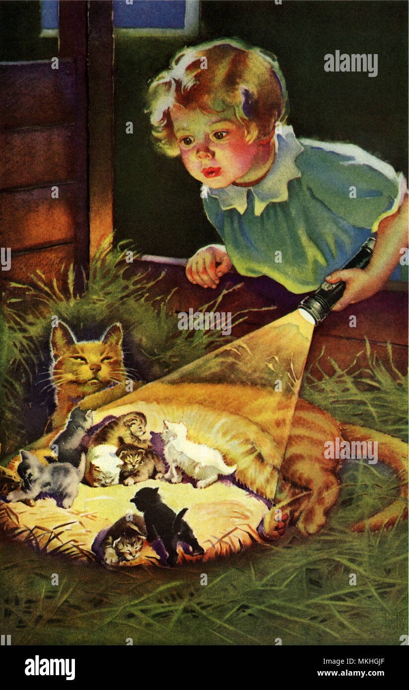 Girl Finds Mother Cat and Kittens Stock Photo - Alamy