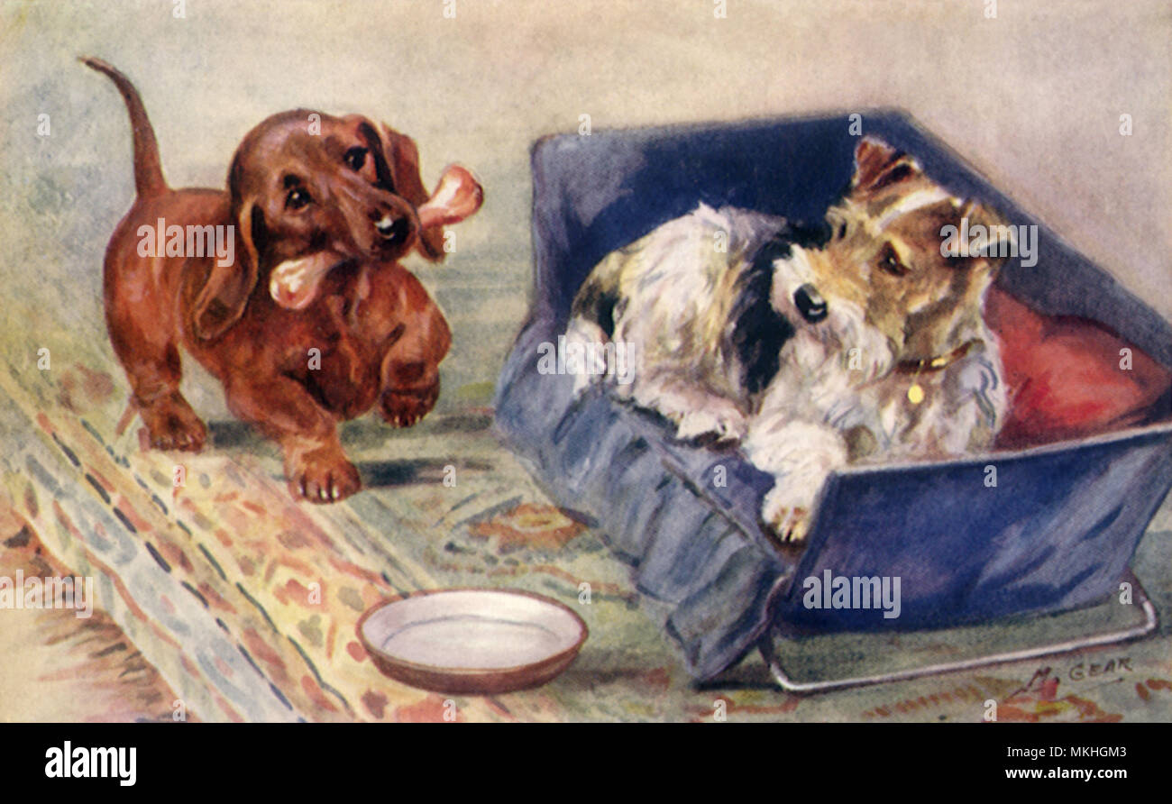 Vintage dachshund dog hi-res stock photography and images - Alamy