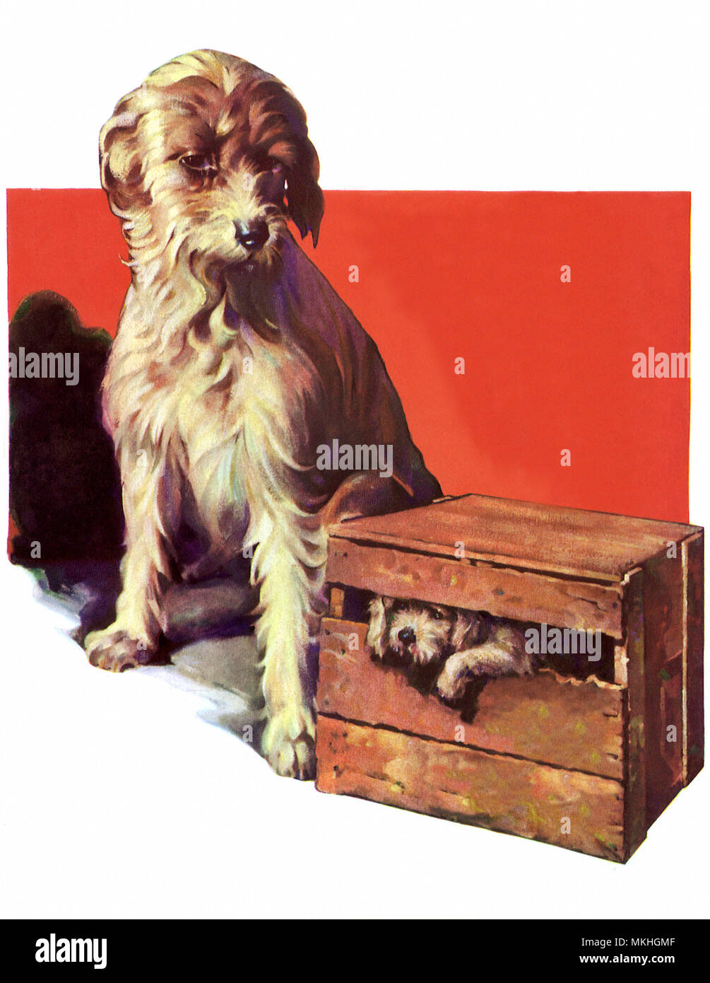 How Does Dog Shipping Work