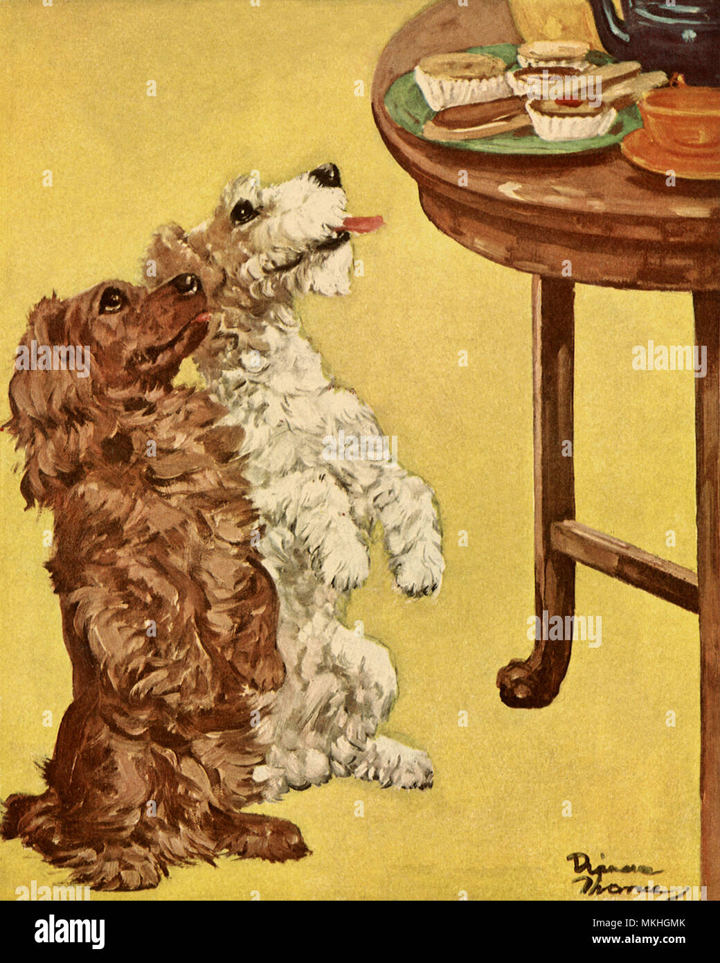 Dog illustration table pet hi-res stock photography and images - Alamy