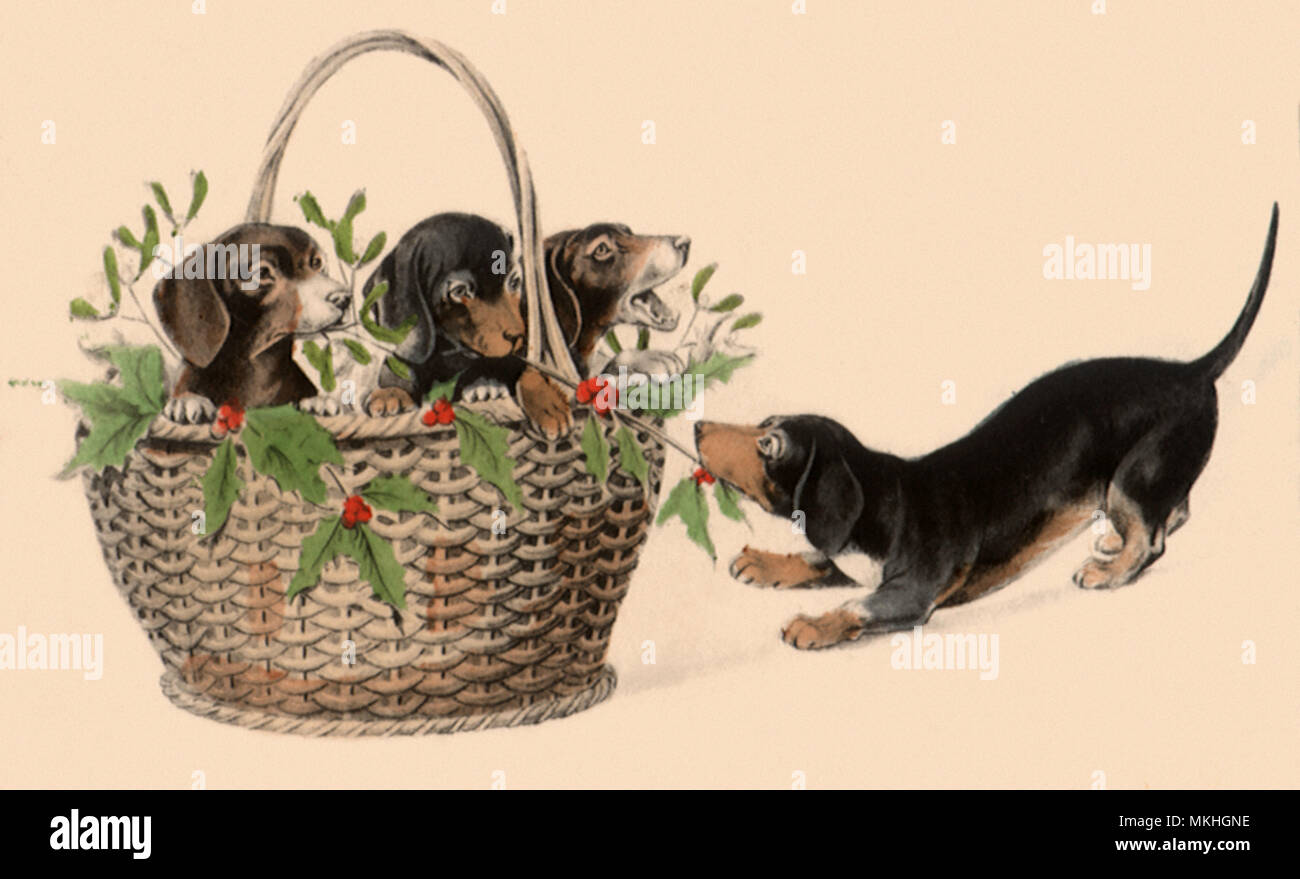 Holly basket hi-res stock photography and images - Alamy