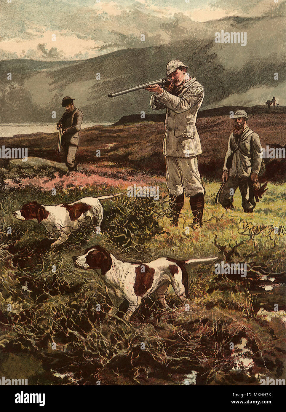 Pointing dogs hi-res stock photography and images - Alamy