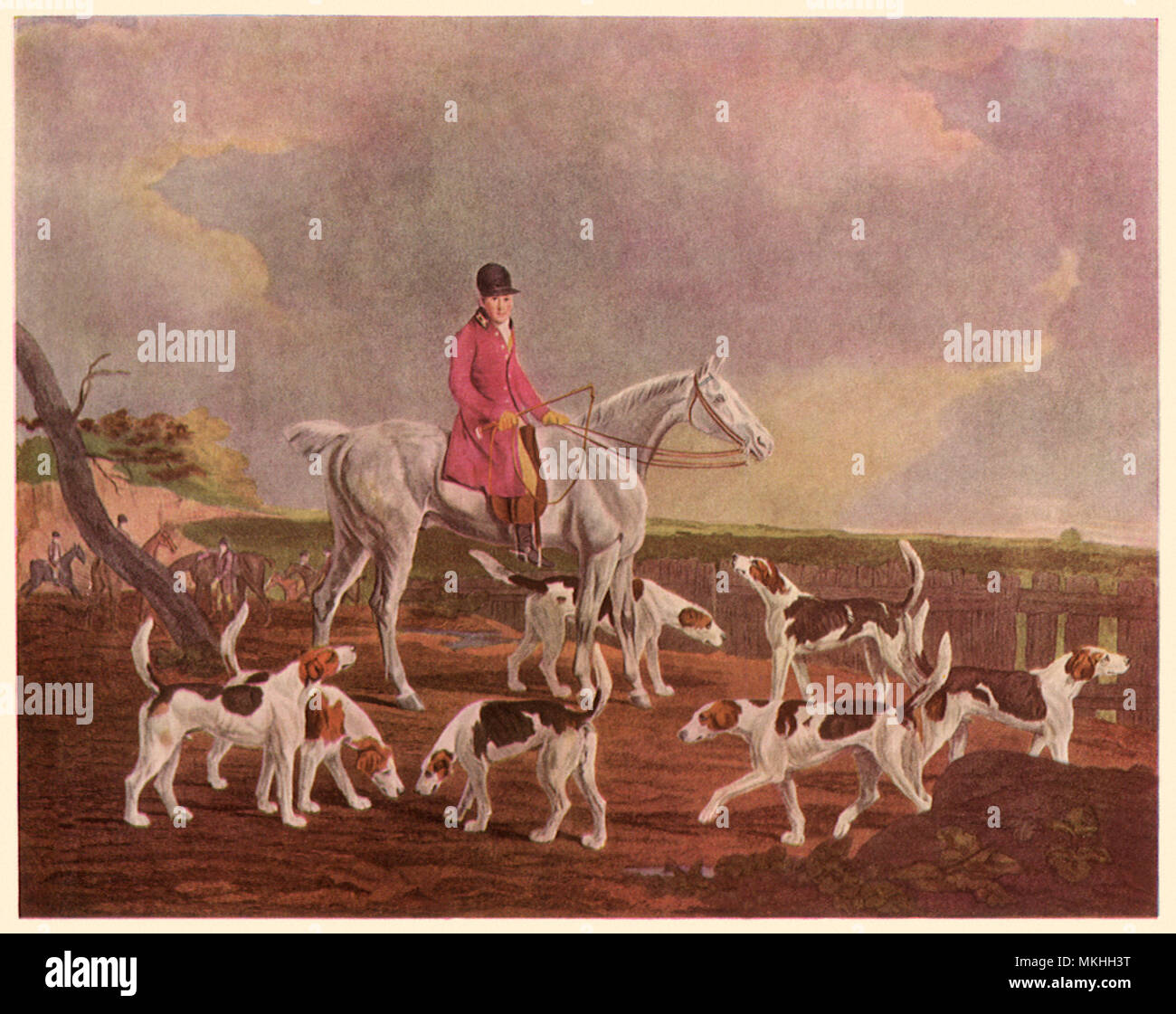 Huntsman hi-res stock photography and images - Alamy