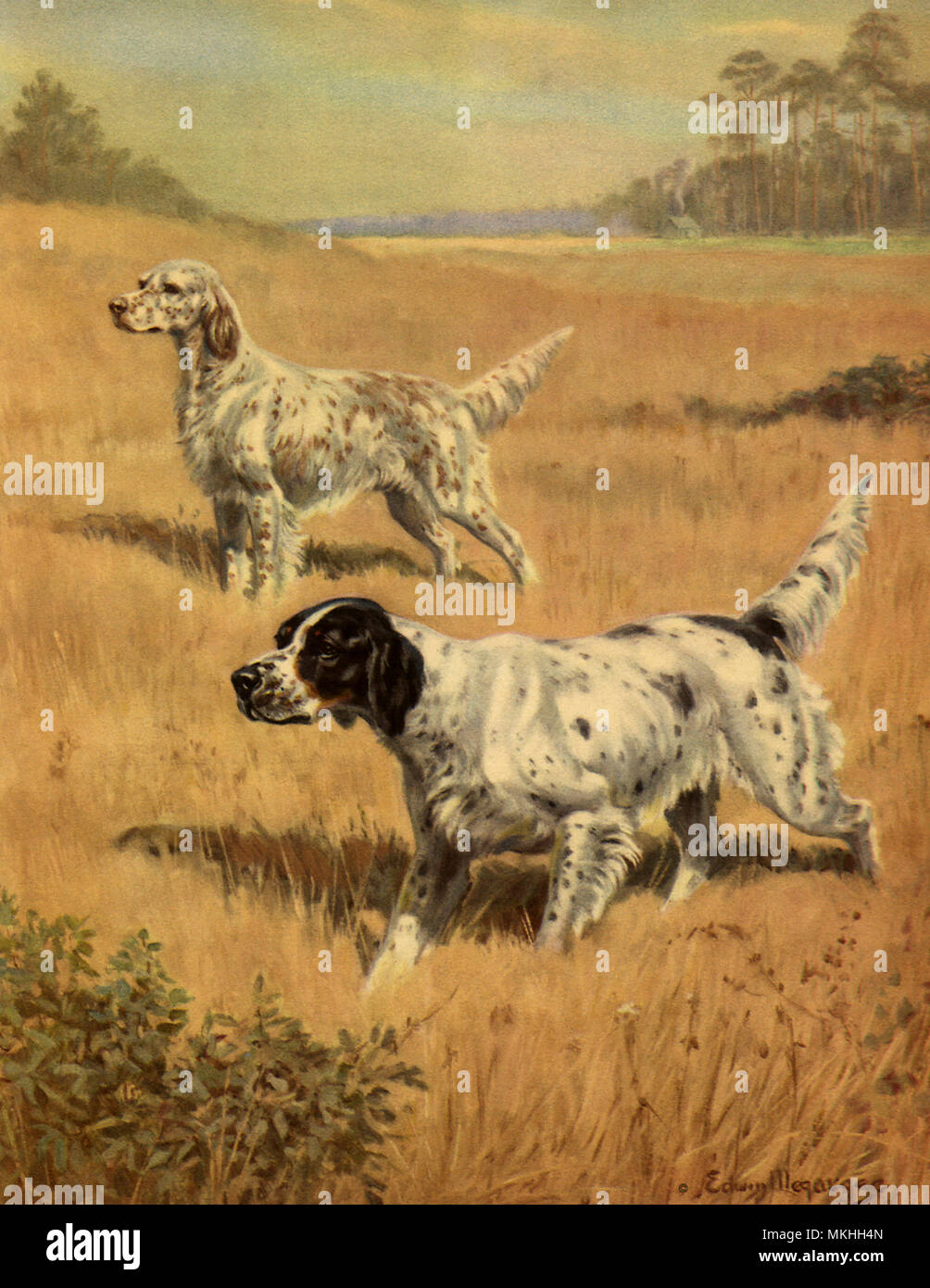 Edwin field hi-res stock photography and images - Alamy