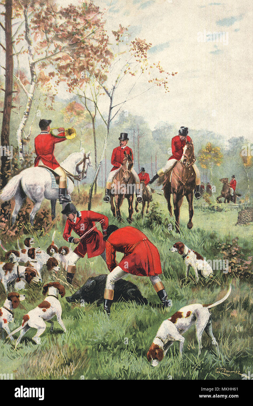 Hunt ground game hi-res stock photography and images - Alamy