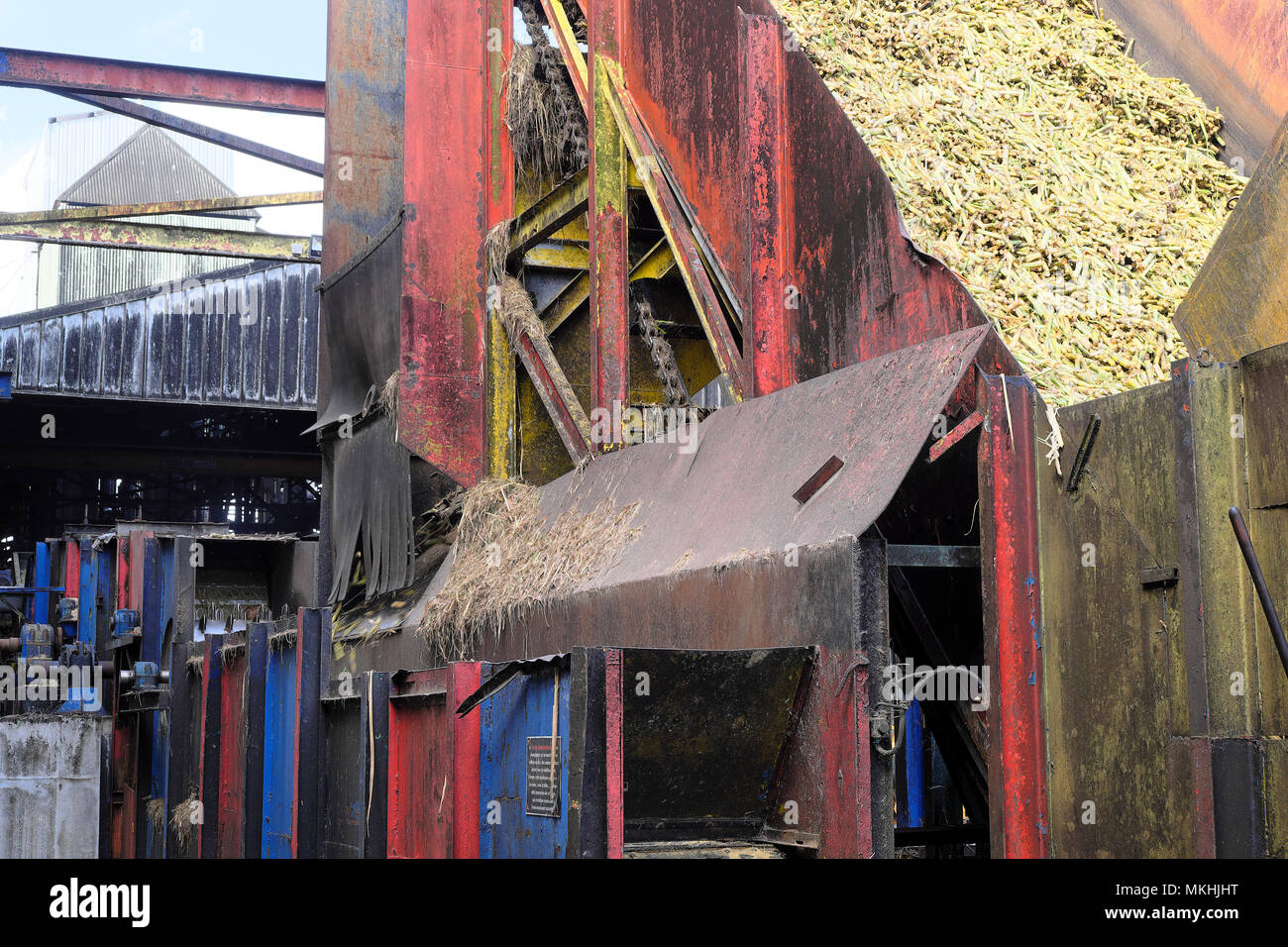 Sugar cane pressing at the Damoiseau distillery, commune du Moule in ...