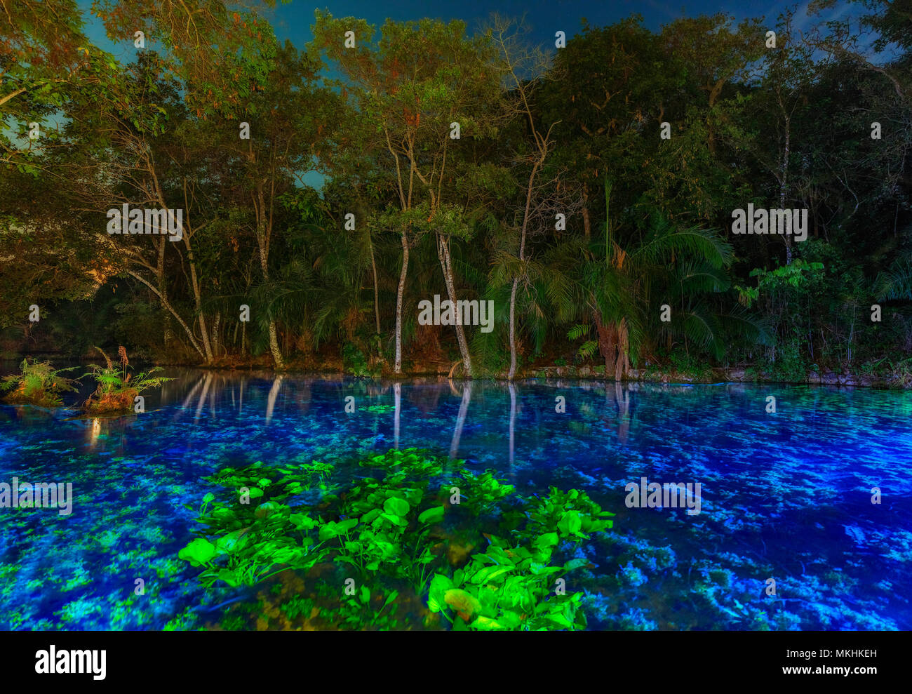Underwater source hi-res stock photography and images - Alamy