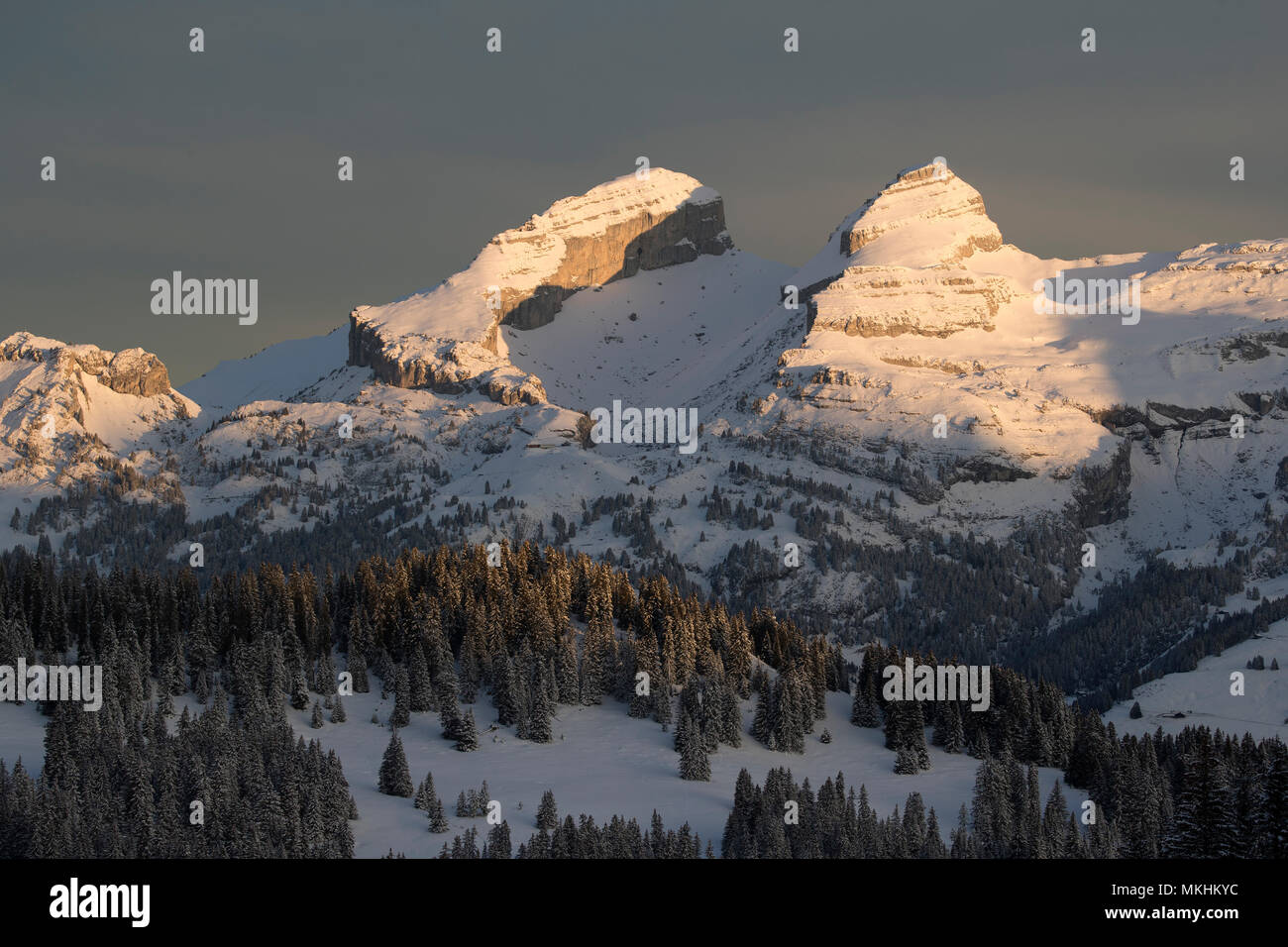 Snowy landscape, Vaud Alps. Switzerland Stock Photo - Alamy