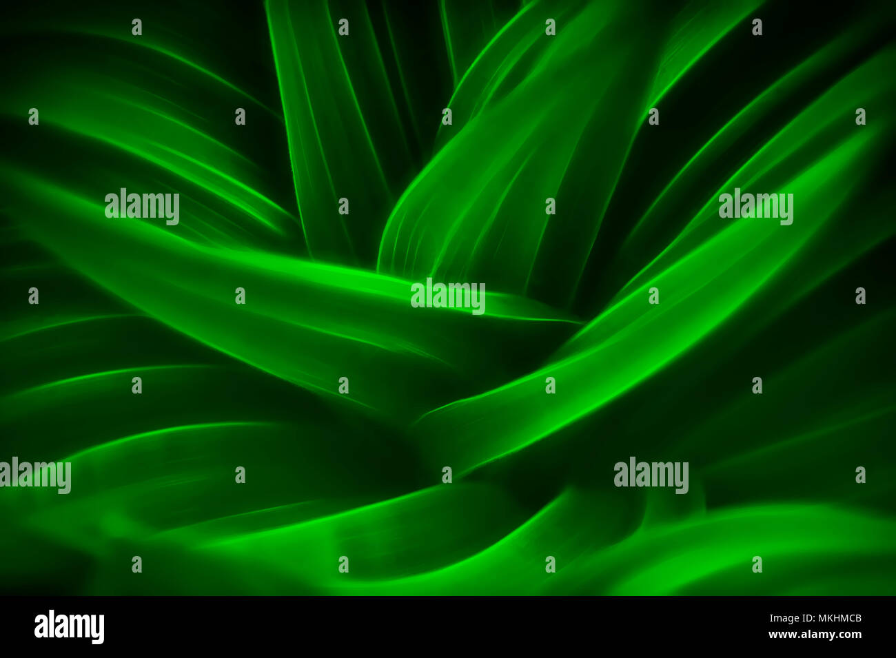 Awesome Green Abstract Backgrounds