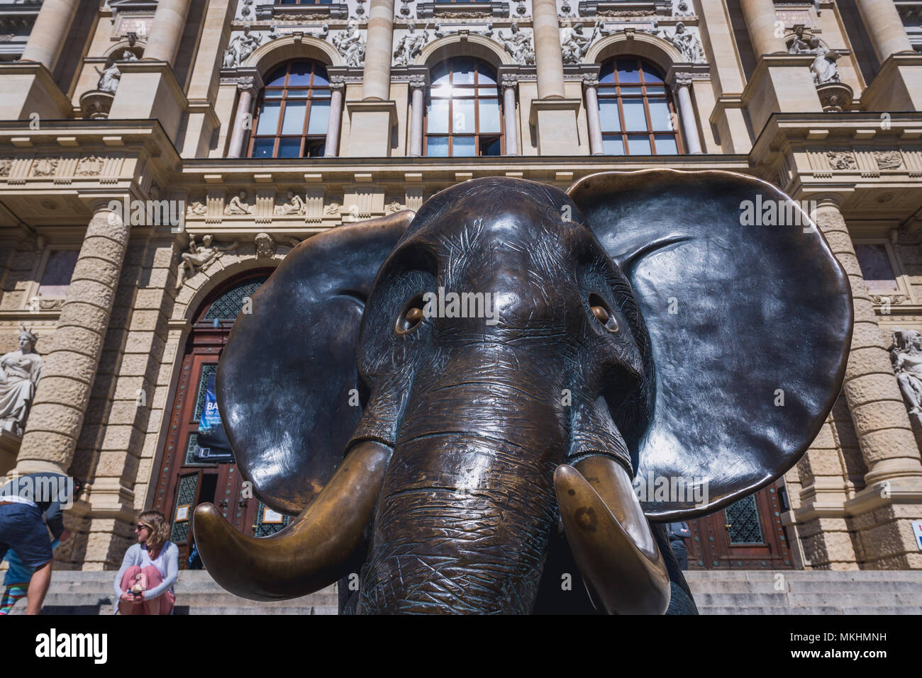 Elephant in vienna museum natural hi-res stock photography and images ...