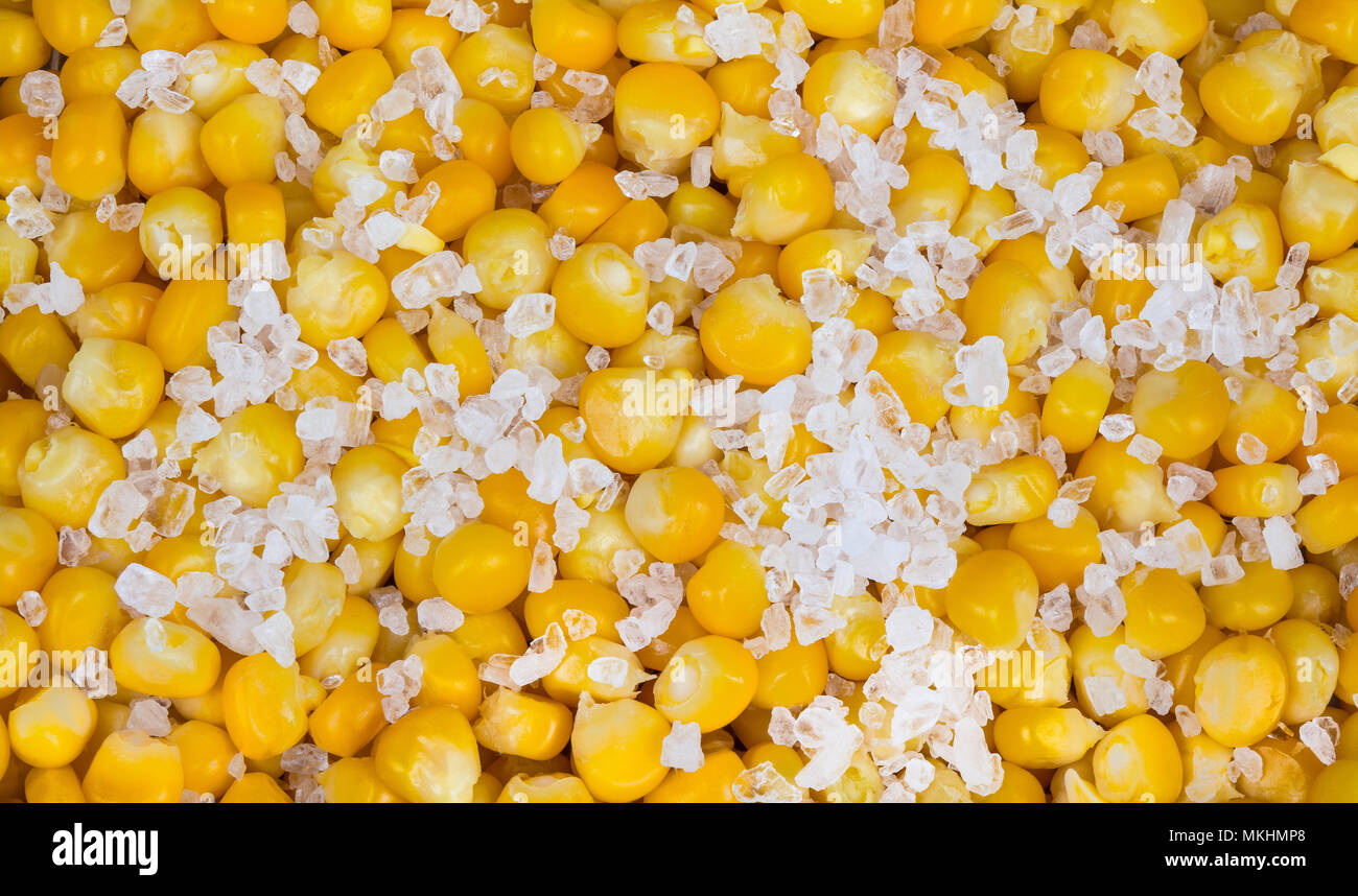 Decorative background from a mixture of corn grains and salt. Texture ...