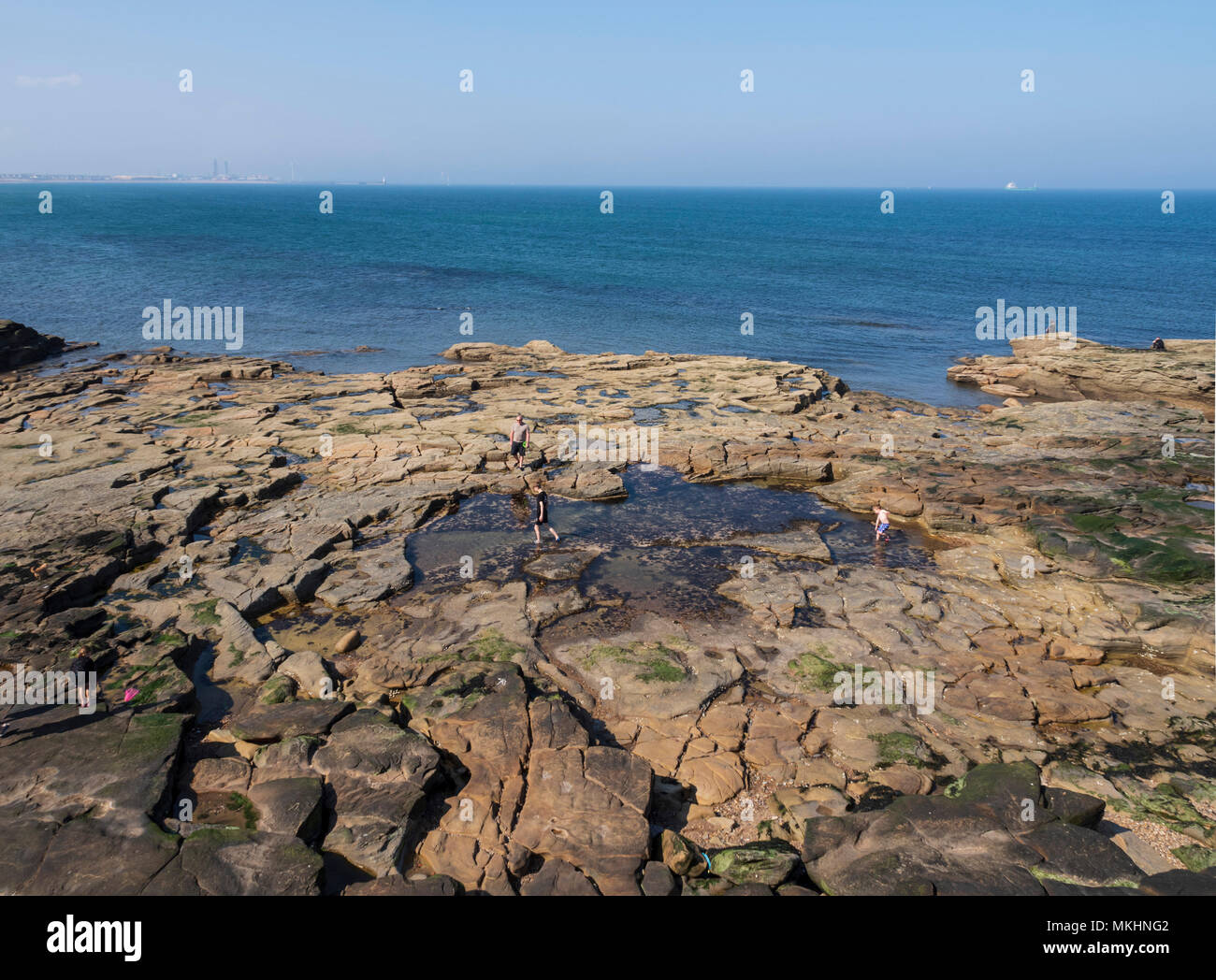 Seaton Sluice, Northumberland - the rocks of Collywell Bay Stock Photo ...