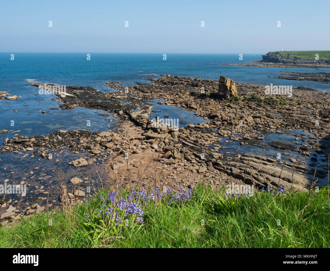 Seaton Sluice, Northumberland - the rocks of Collywell Bay Stock Photo ...
