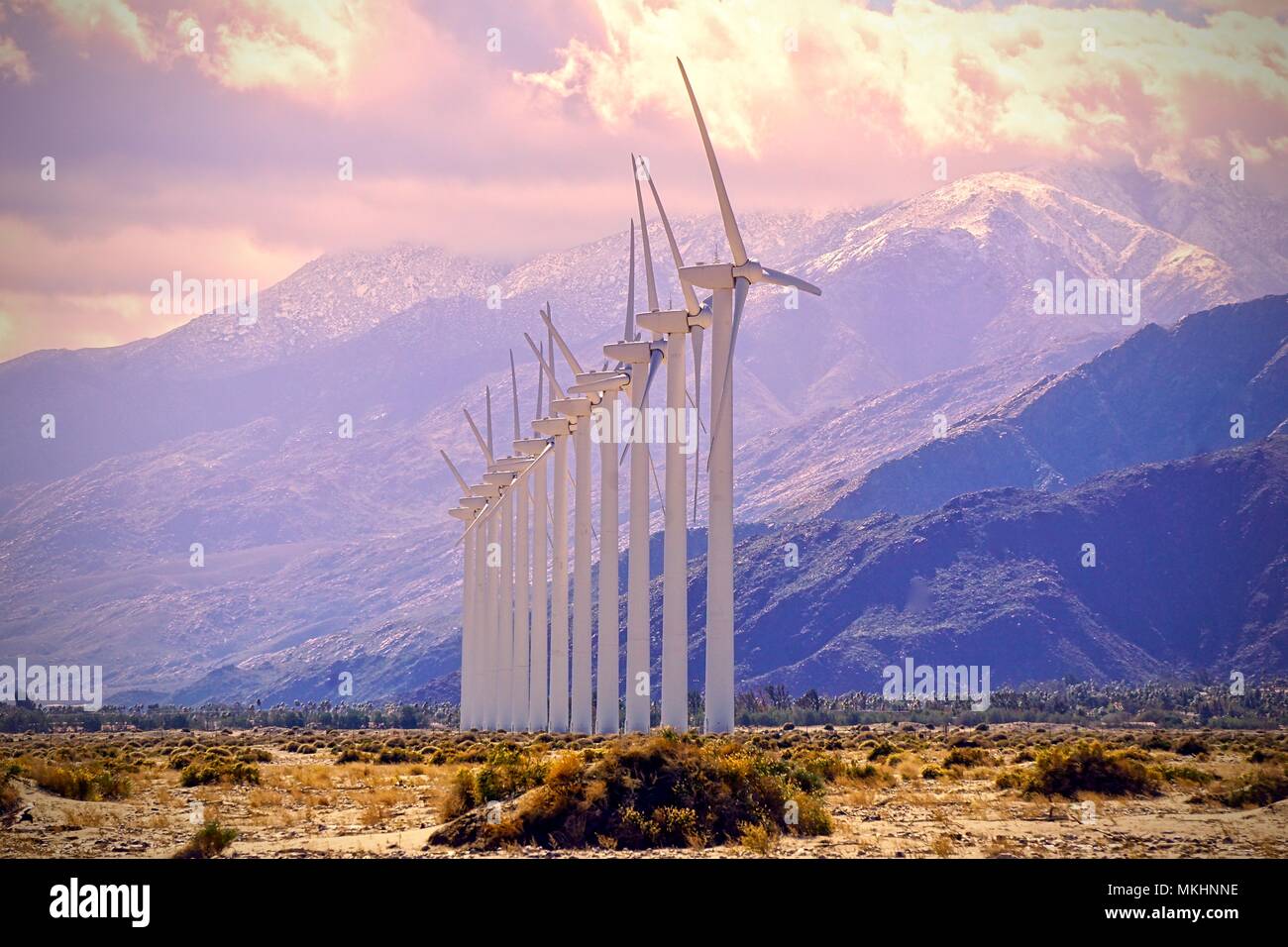 A line of wind turbines in front of snow capped mountains on a Palm ...