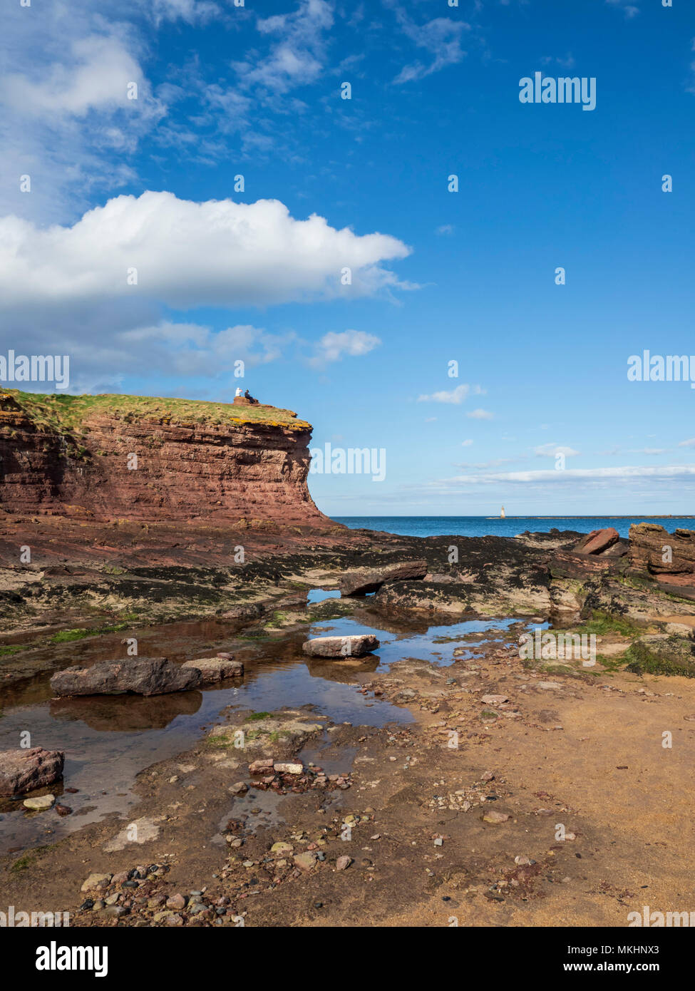 Seacliff, East Lothian, Scotland - the secret cove and location of one ...