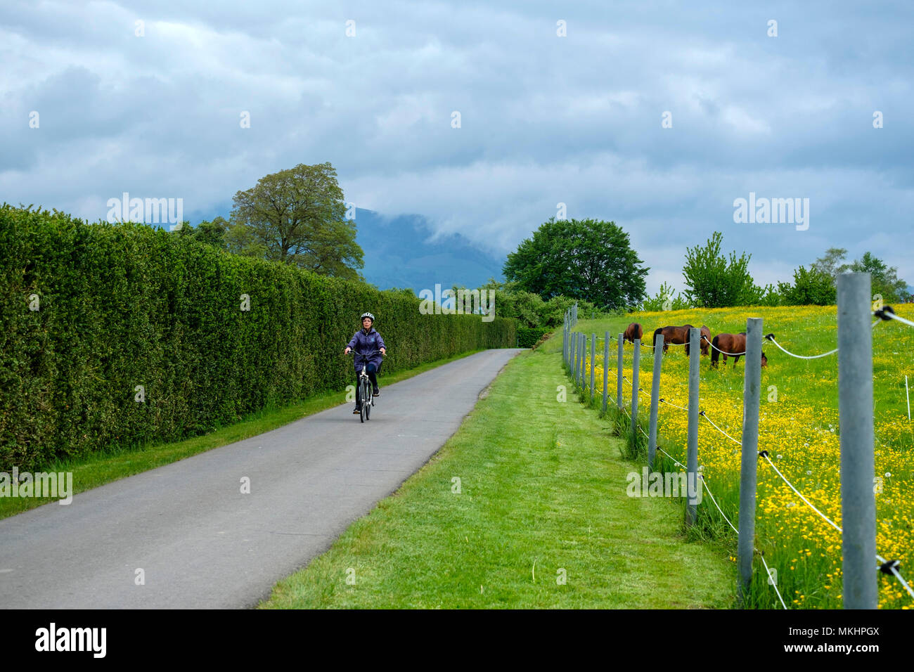 Riders in english countryside hi-res stock photography and images - Alamy