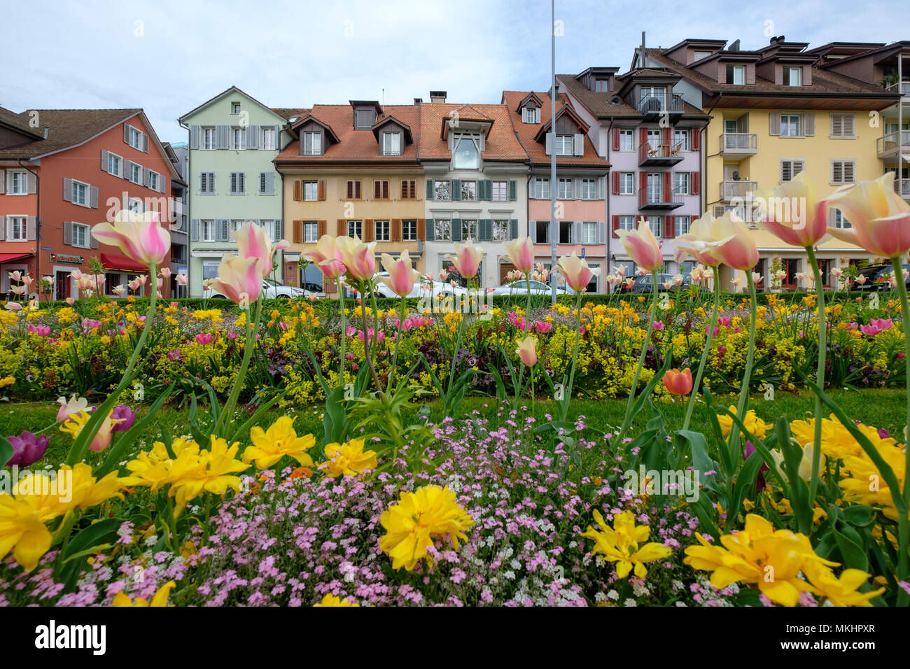 Public garden with colorful flowers in front of a row of houses in Zug ...