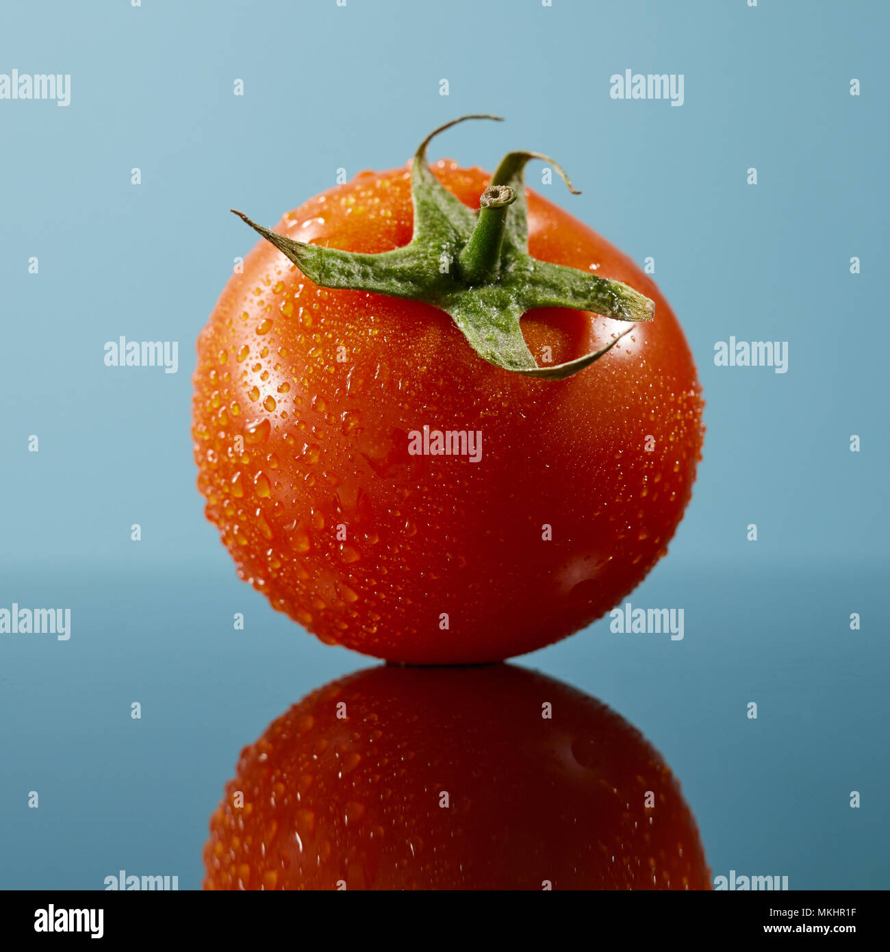 tomato with water drops isolated on the glossy blue background Stock ...