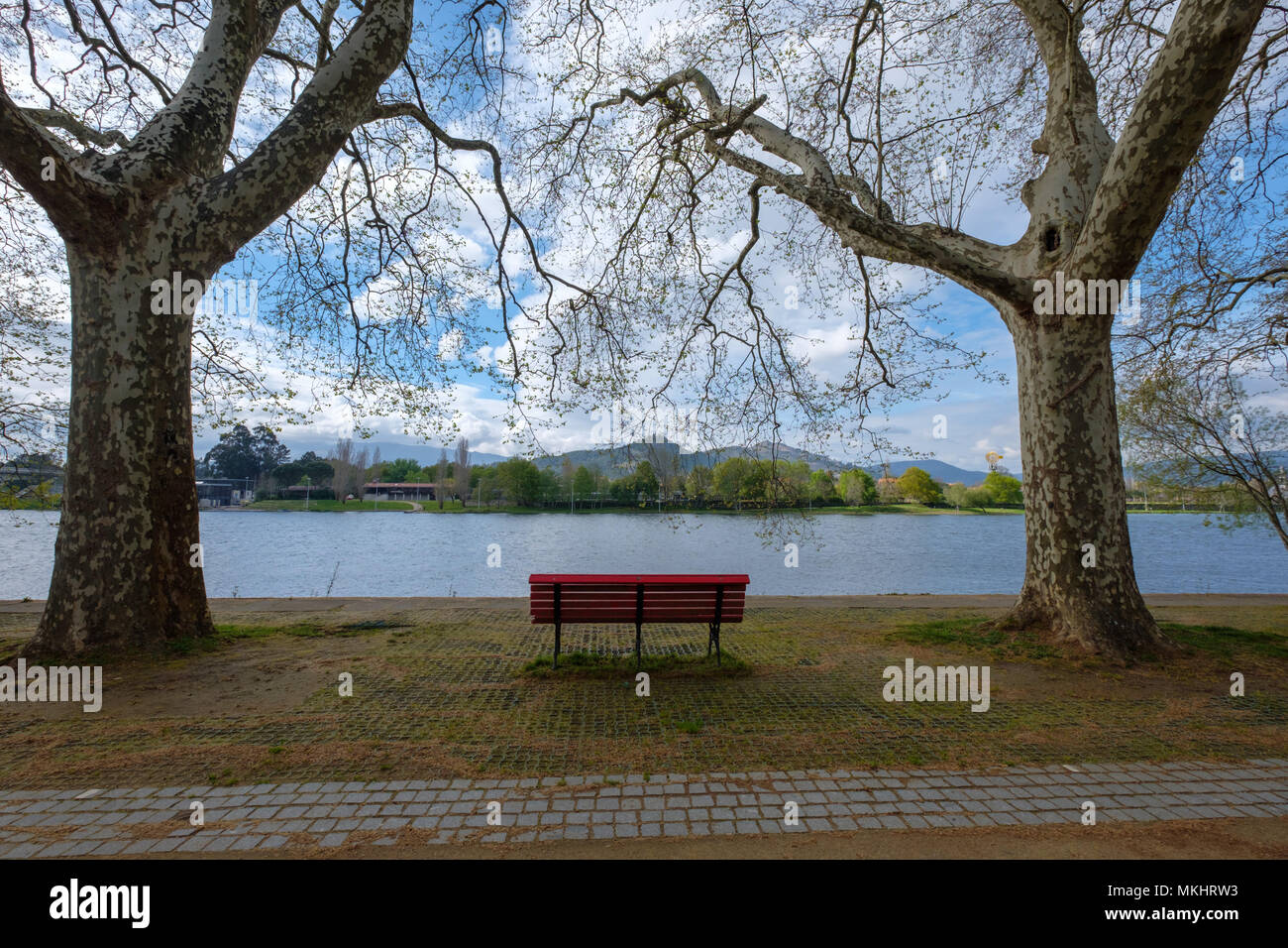 Park bench on a river bank between two trees Stock Photo - Alamy