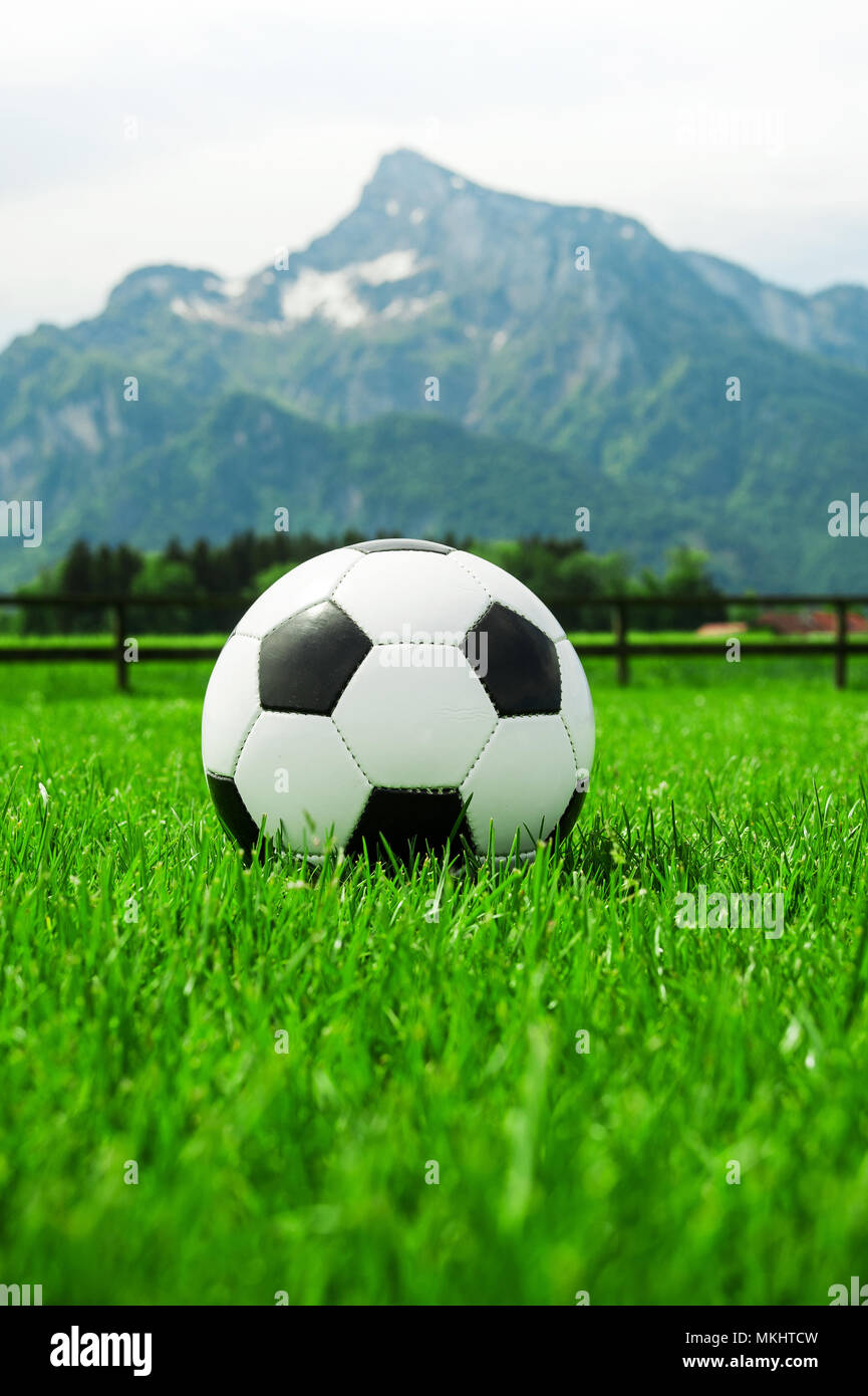 classic black and white soccer ball in the natural grass in front of a ...