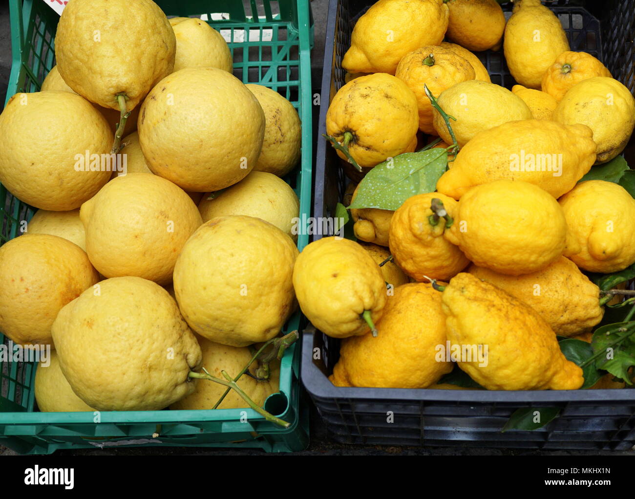 Lemons amalfi coast hi-res stock photography and images - Alamy