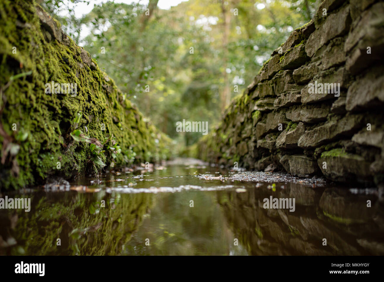 Colour photograph taken within stone lined stream with only foreground ...