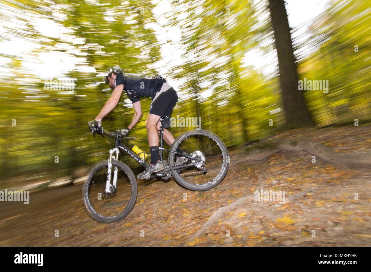 Mountainbiker in the Vienna Woods riding offroad along trail through ...
