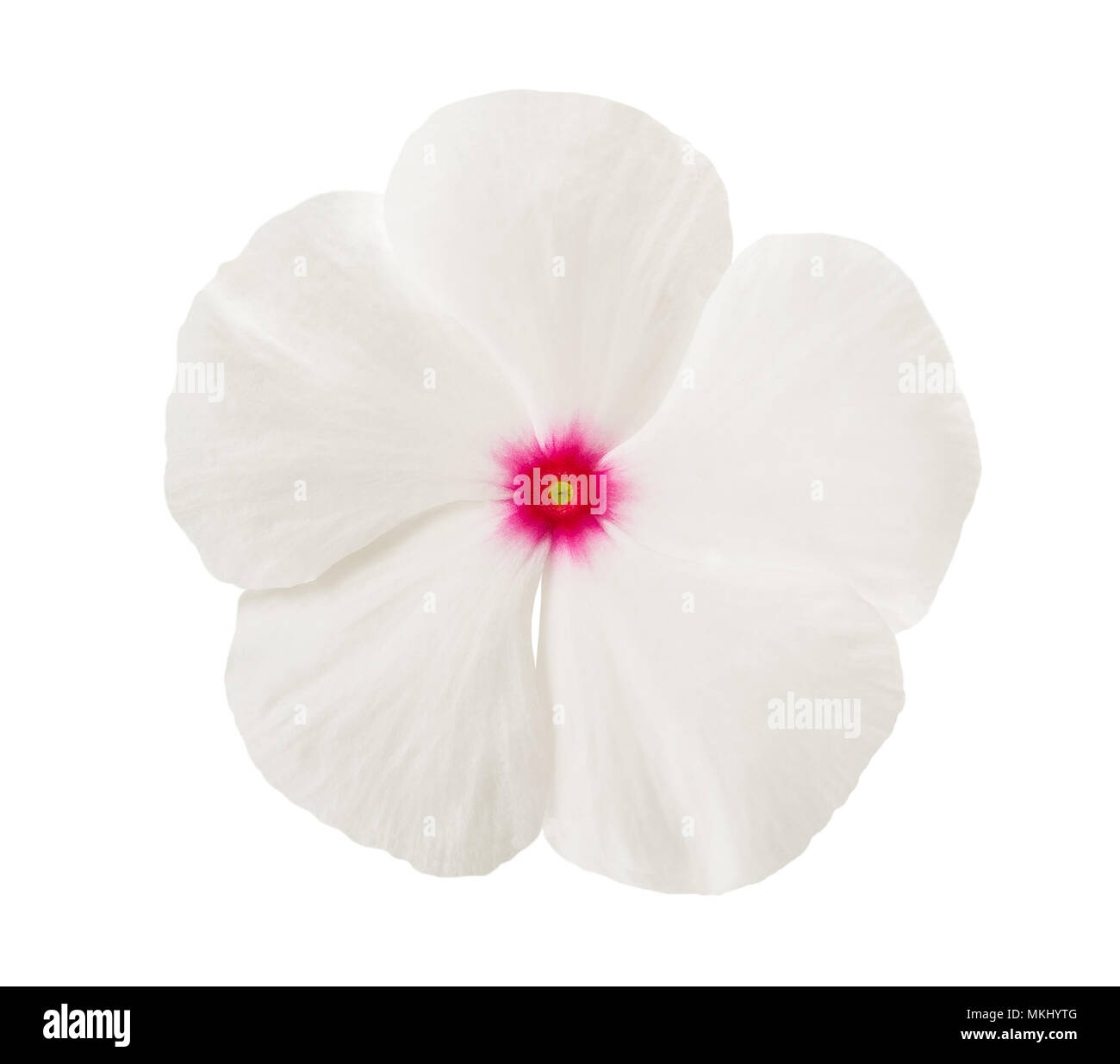 Periwinkle background Cut Out Stock Images & Pictures - Alamy