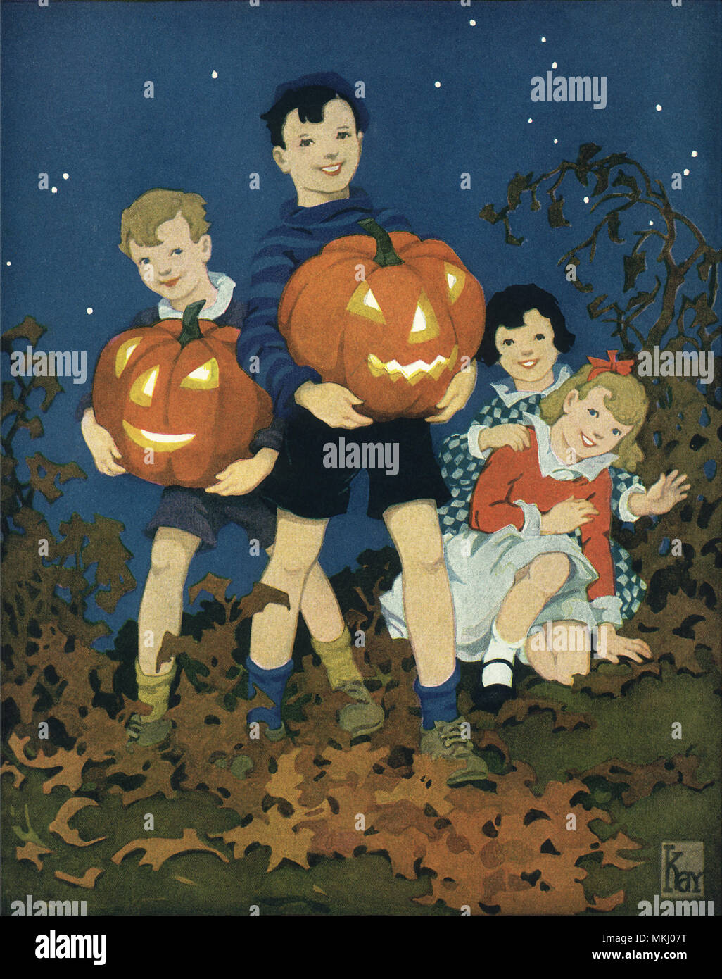 Hallow field hi-res stock photography and images - Alamy