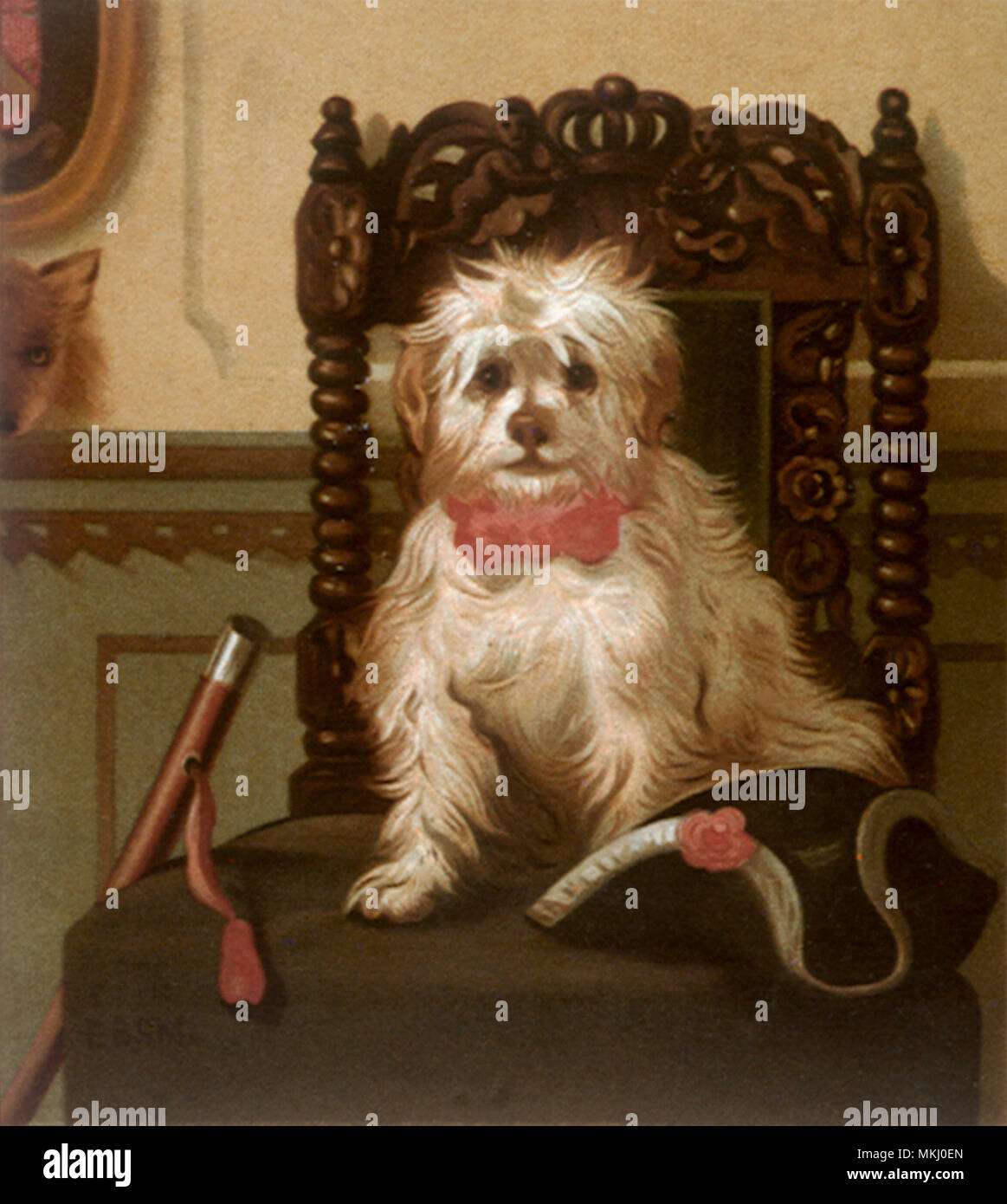 Dog Seated on Chair Stock Photo - Alamy