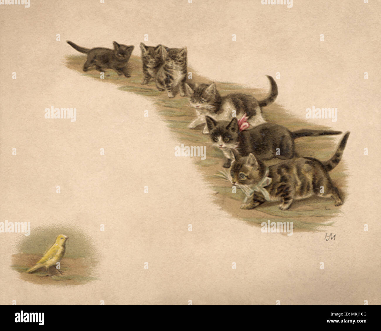 Cat stalking bird hi-res stock photography and images - Alamy