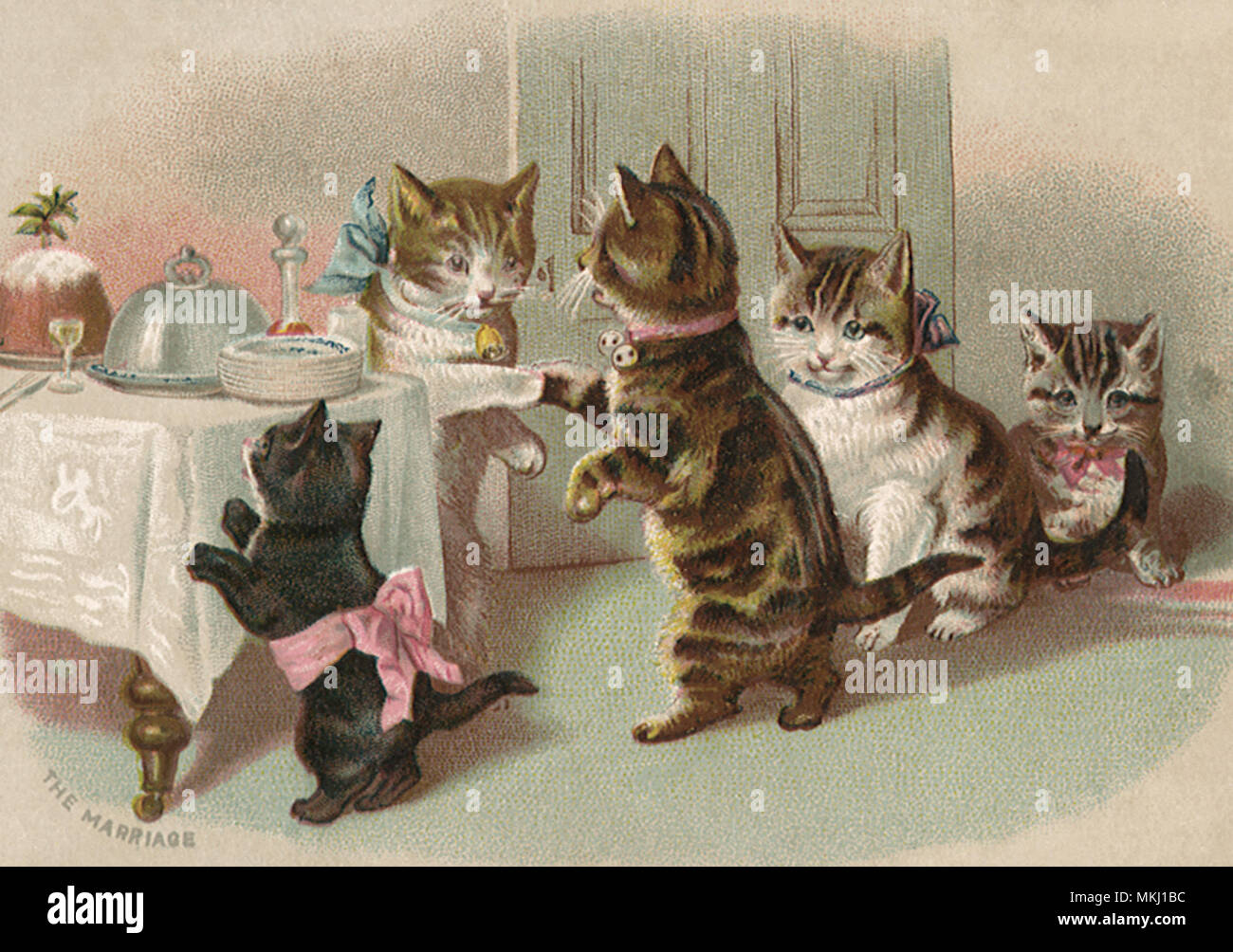 Cats dinner hi-res stock photography and images - Alamy
