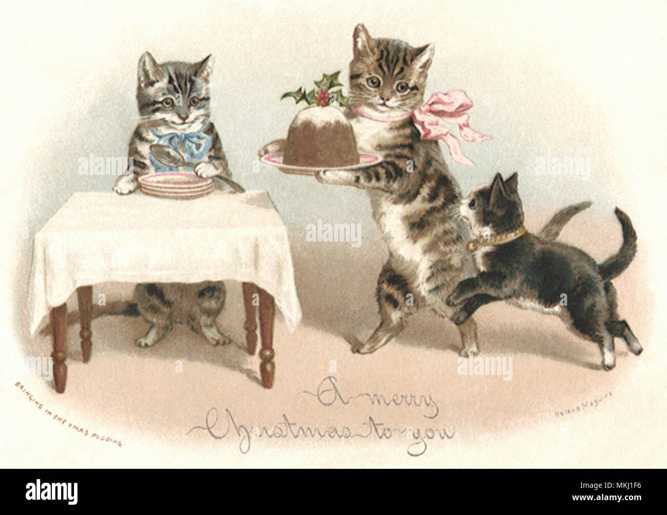 Christmas cat pudding hi-res stock photography and images - Alamy