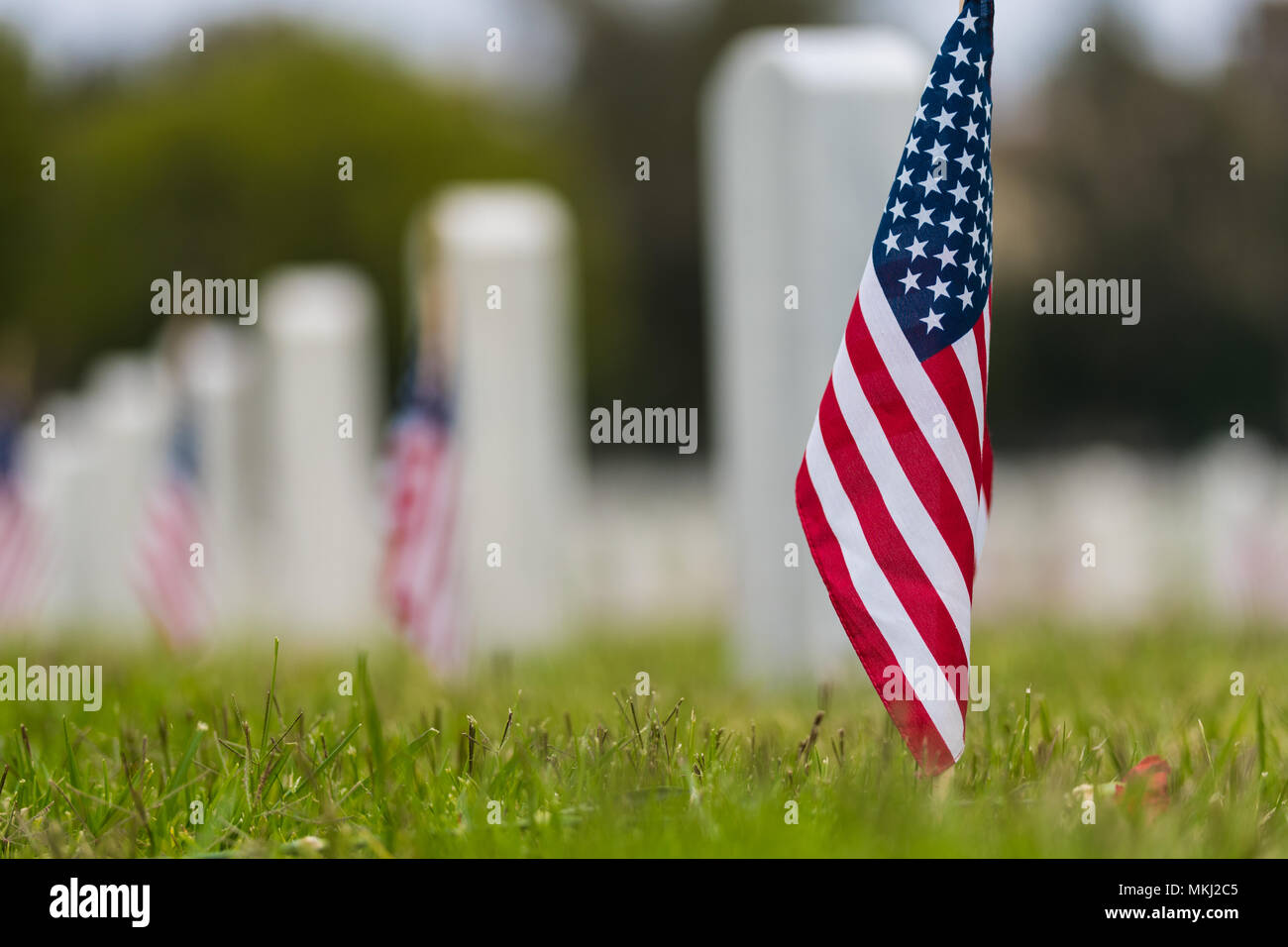 Small American flag at National cemetary - Memorial Day display Stock ...