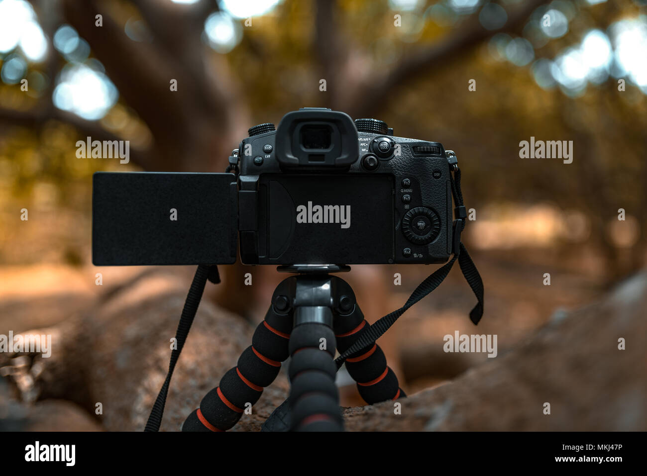 Modern Dslr camera standing on tripod at the tree Stock Photo - Alamy