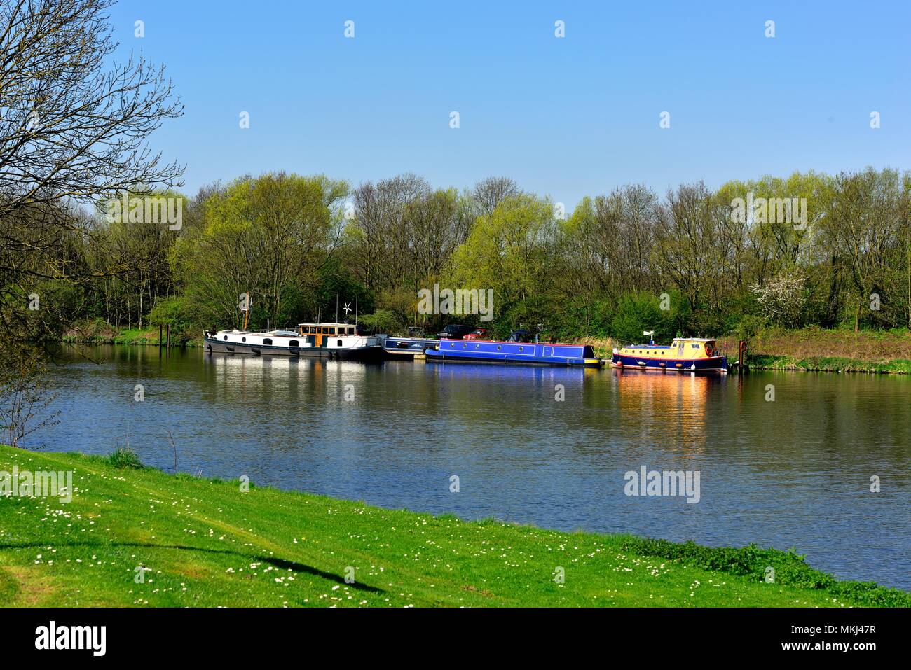 River Trent Holme Pierrepont country park Nottingham England UK Stock ...
