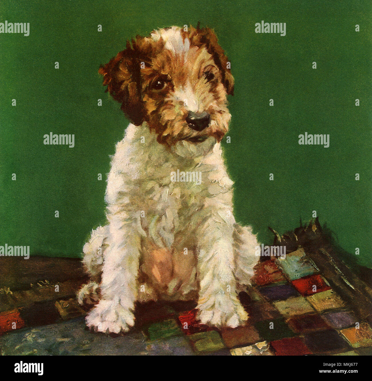 Little critter hi-res stock photography and images - Alamy