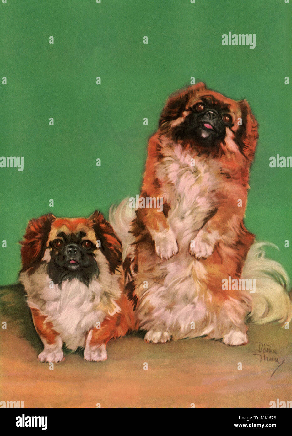 Two by fours hi-res stock photography and images - Alamy