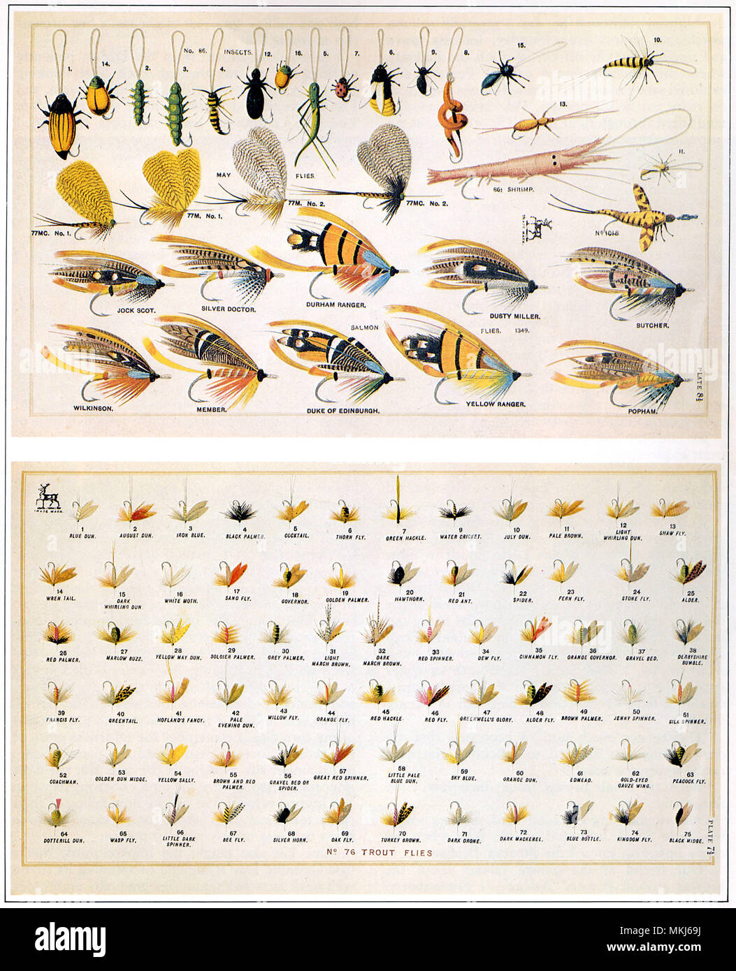 Many flies hi-res stock photography and images - Alamy