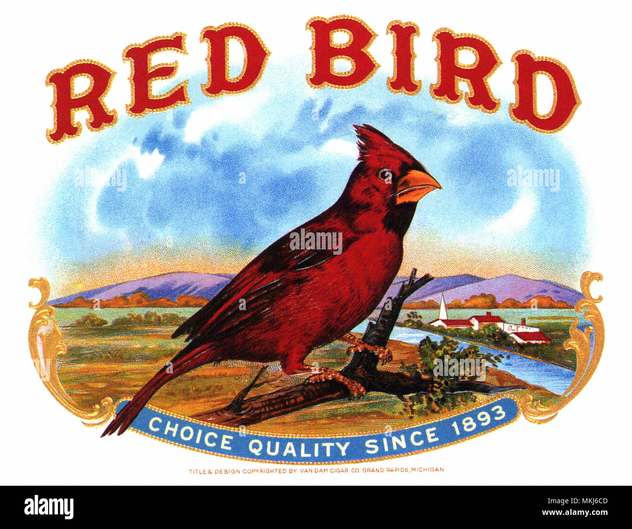 Cardinal river hi-res stock photography and images - Alamy