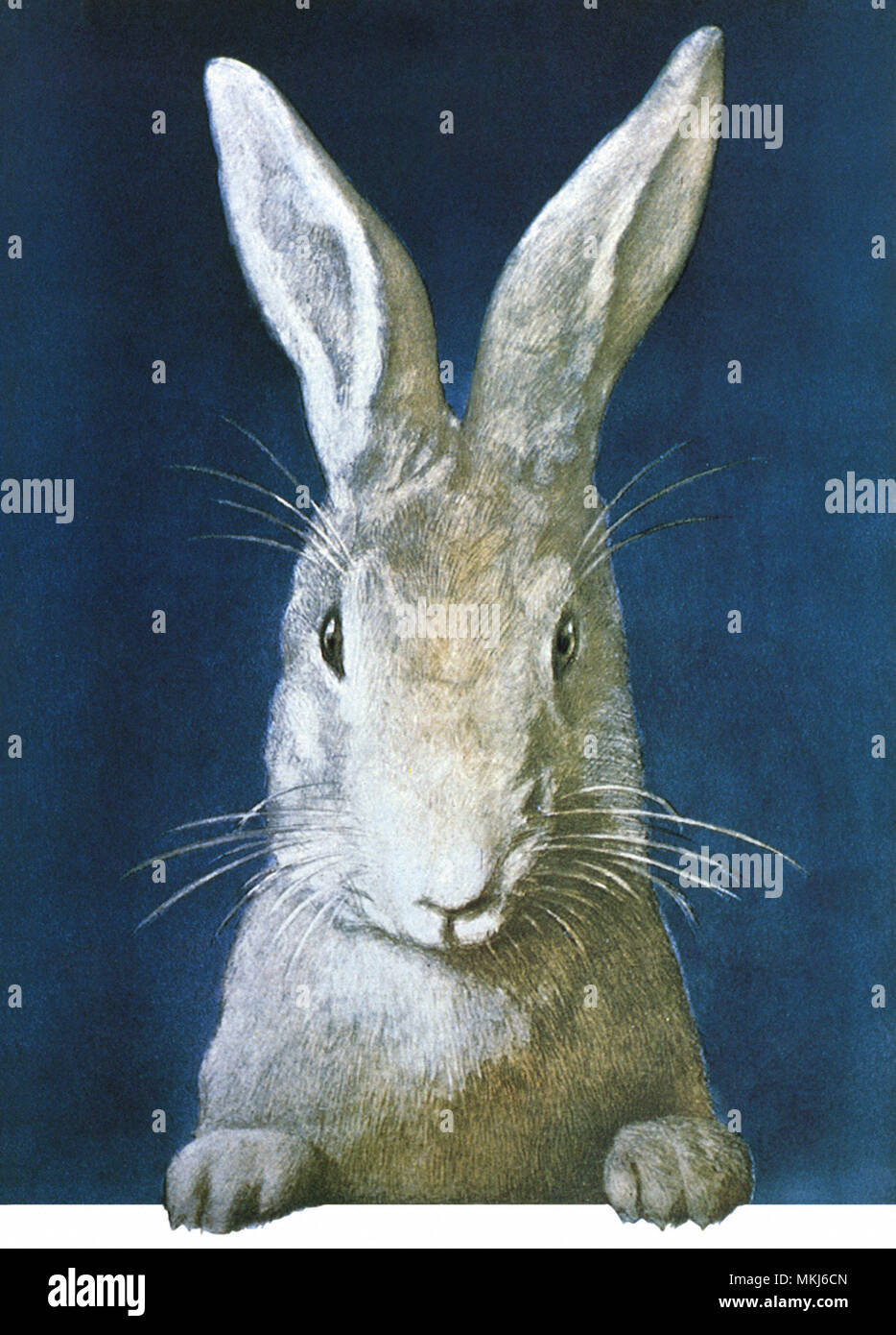 White rabbit vintage hi-res stock photography and images - Alamy