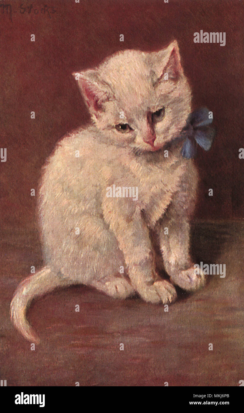 White Cat Looking Down Stock Photo - Alamy