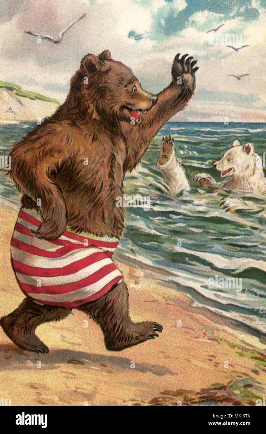Bears at the Beach Stock Photo - Alamy