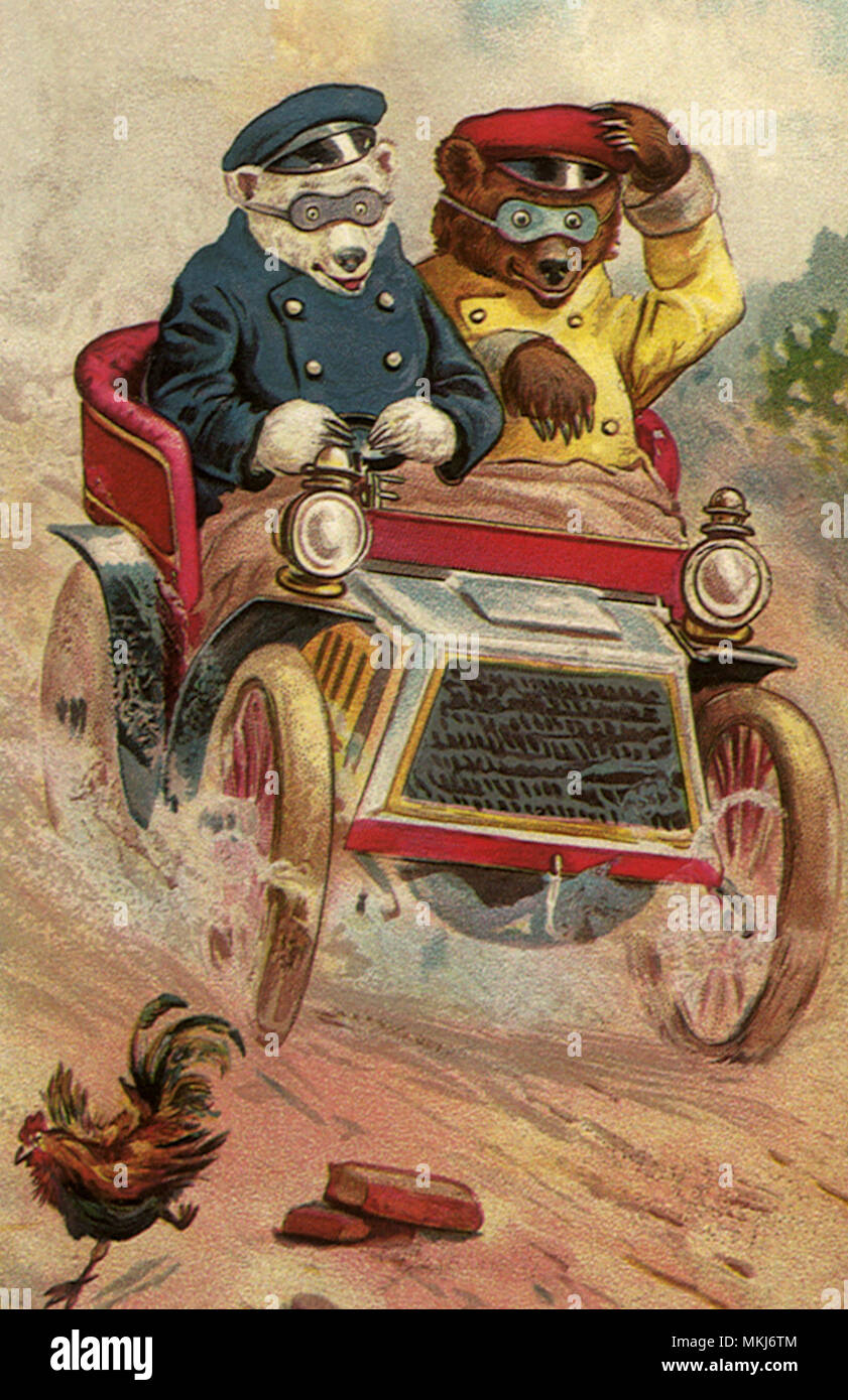 Pet bears hi-res stock photography and images - Alamy